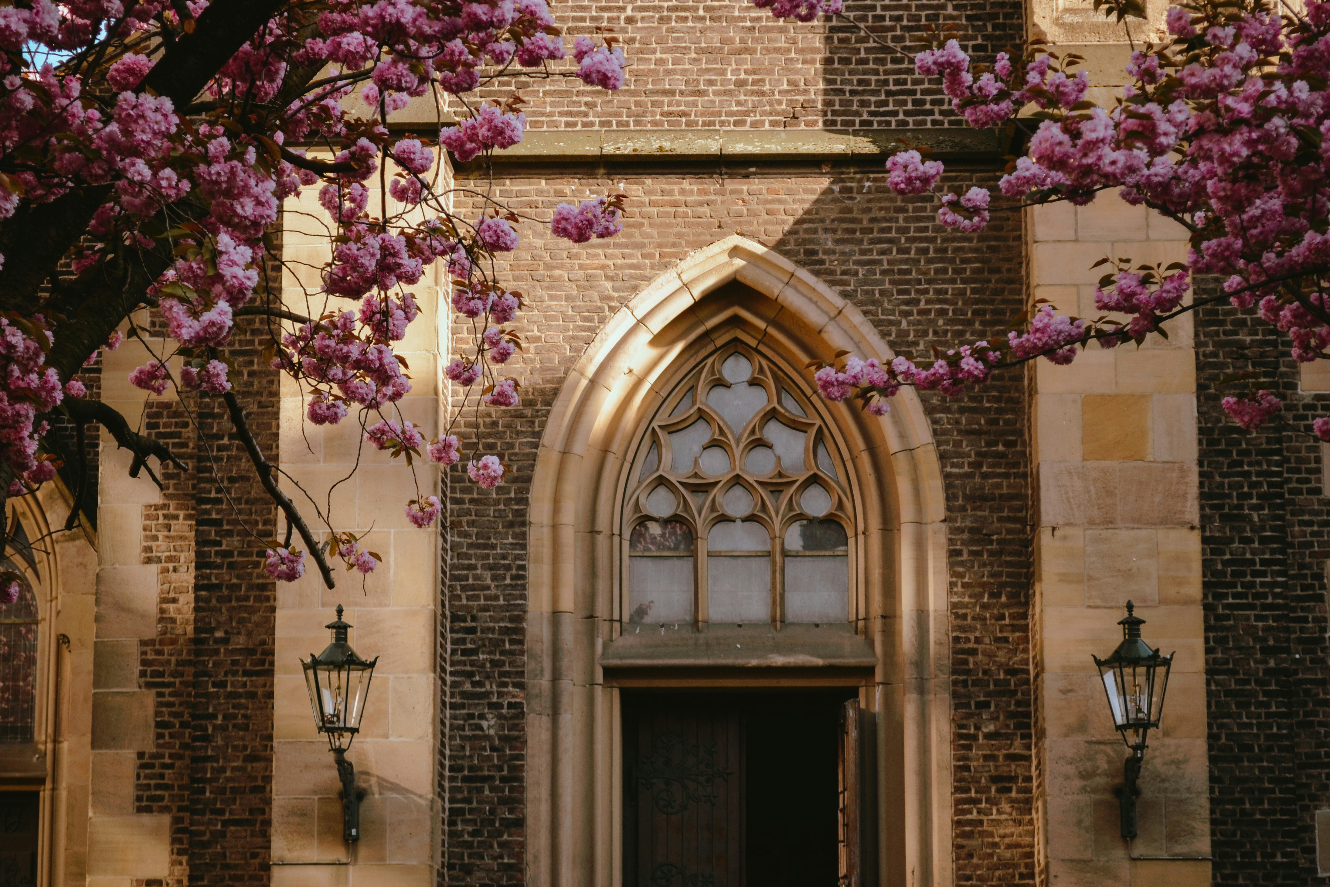 Gothic Portal Framed by Spring Blossoms
