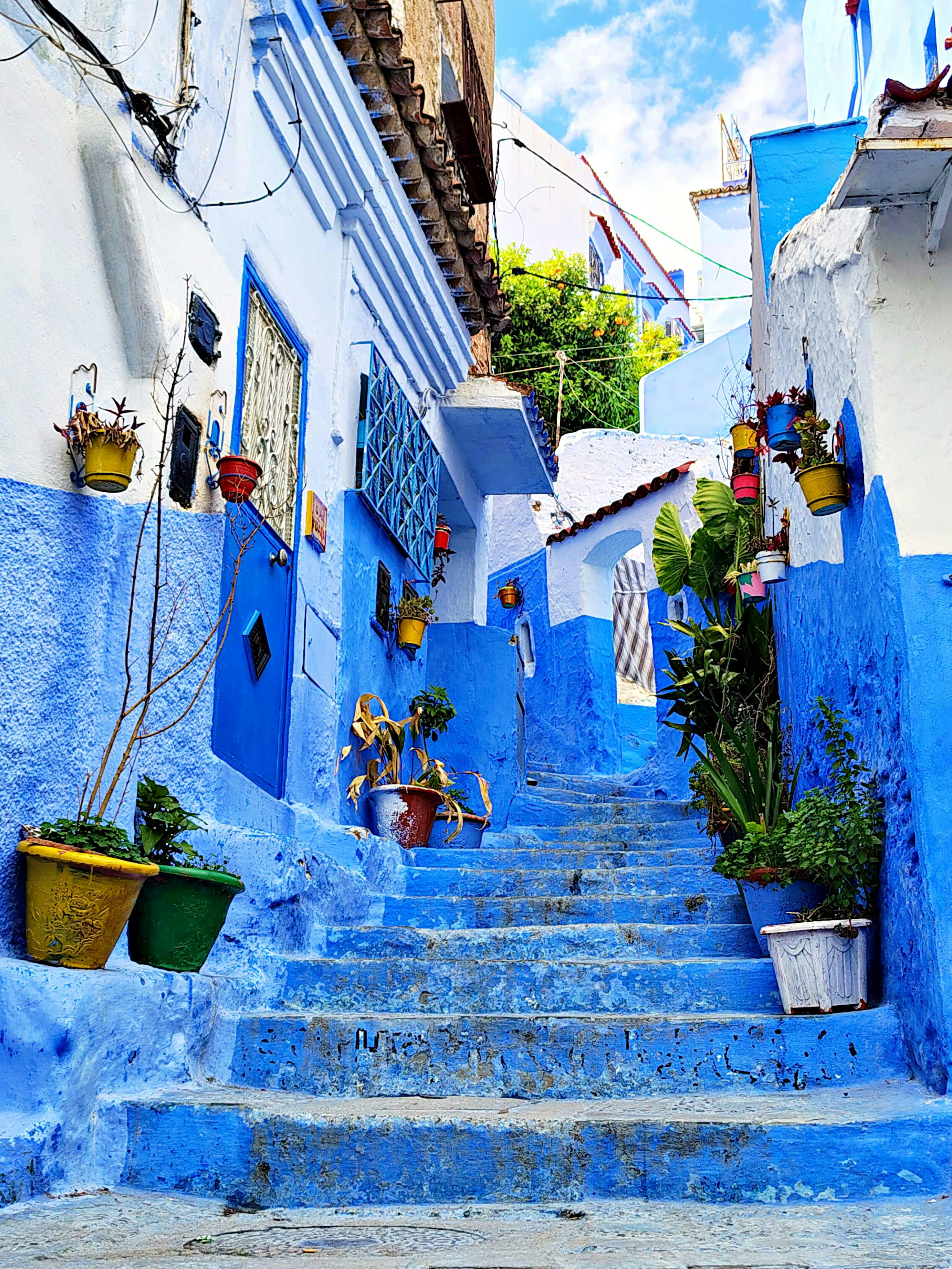 Serenity in Blue: A Stroll Through Chefchaouen's AlleysD Jonez