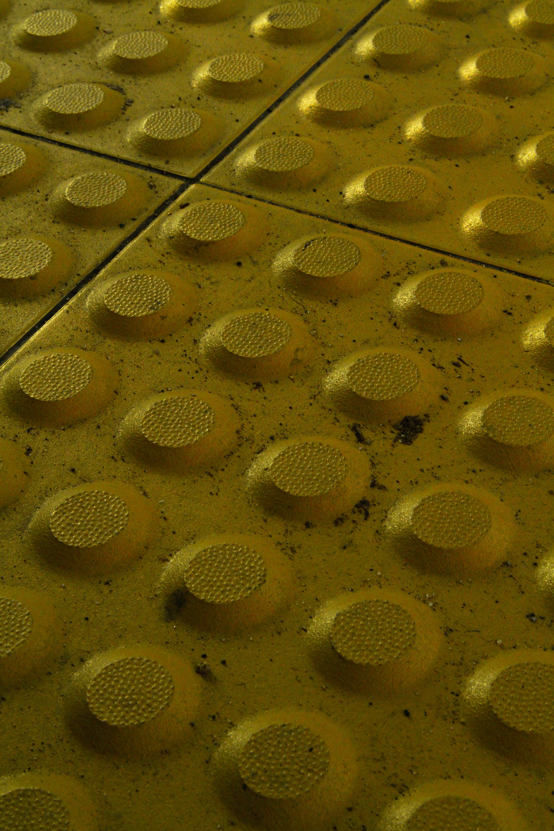 Tactile paving with rounded bumps for accessibility. photo – Free ...
