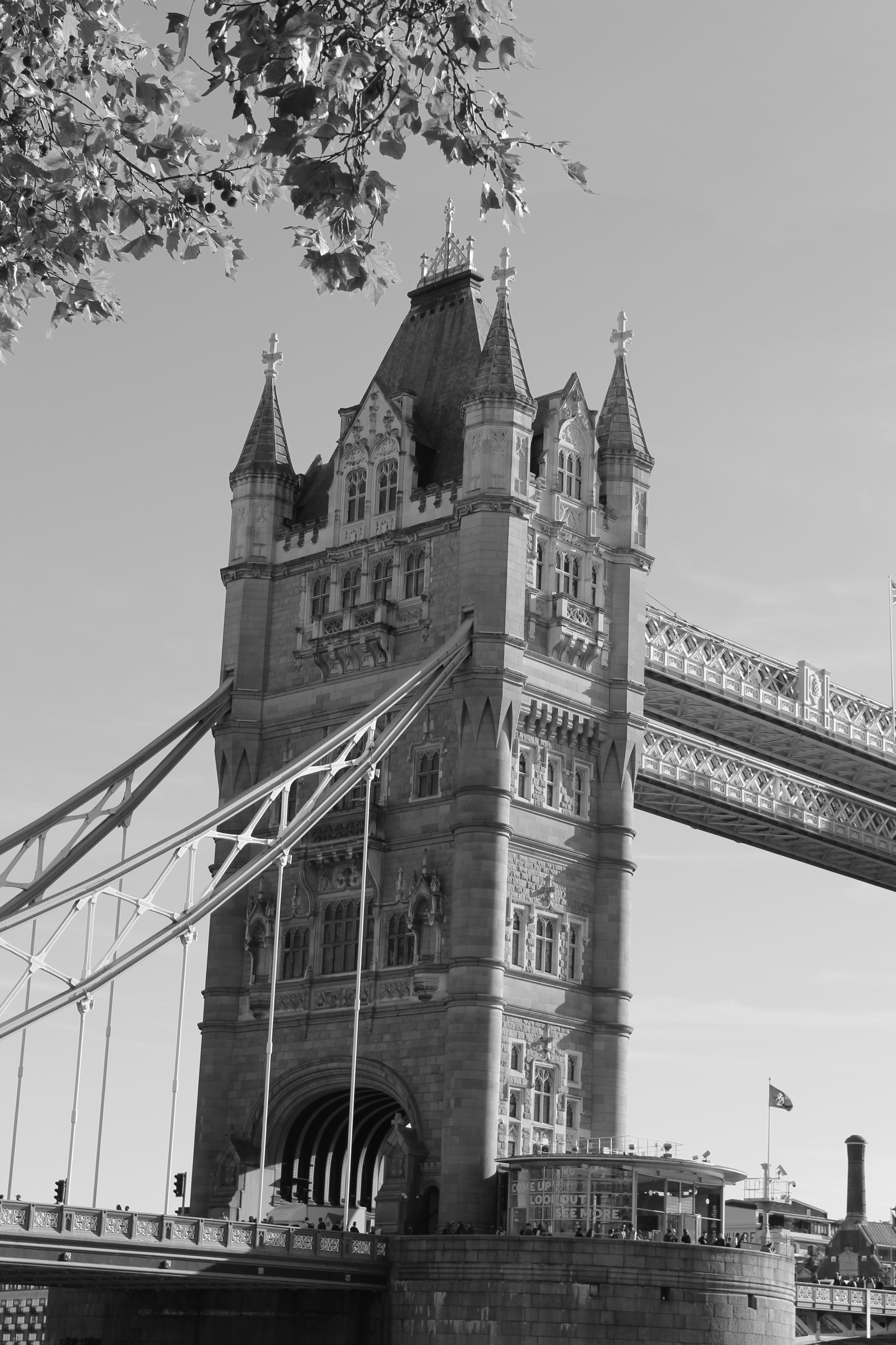 Tower Bridge stands proudly over the River Thames, showcasing its intricate architectural details against a clear sky. A glimpse of the surrounding foliage adds depth to the scene.