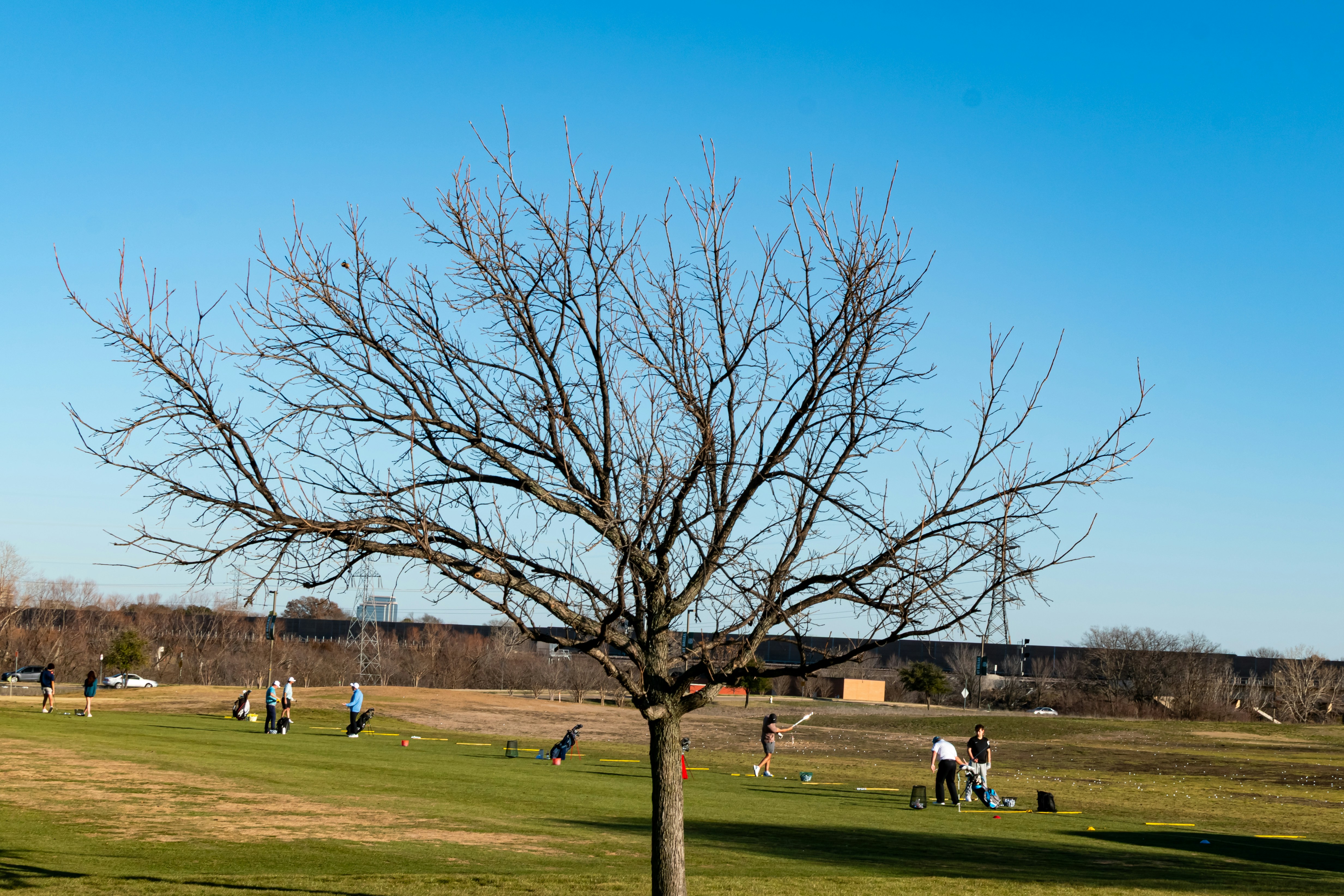 Alamo Drafthouse Cinema Richardson - Trivia in Richardson, United ...