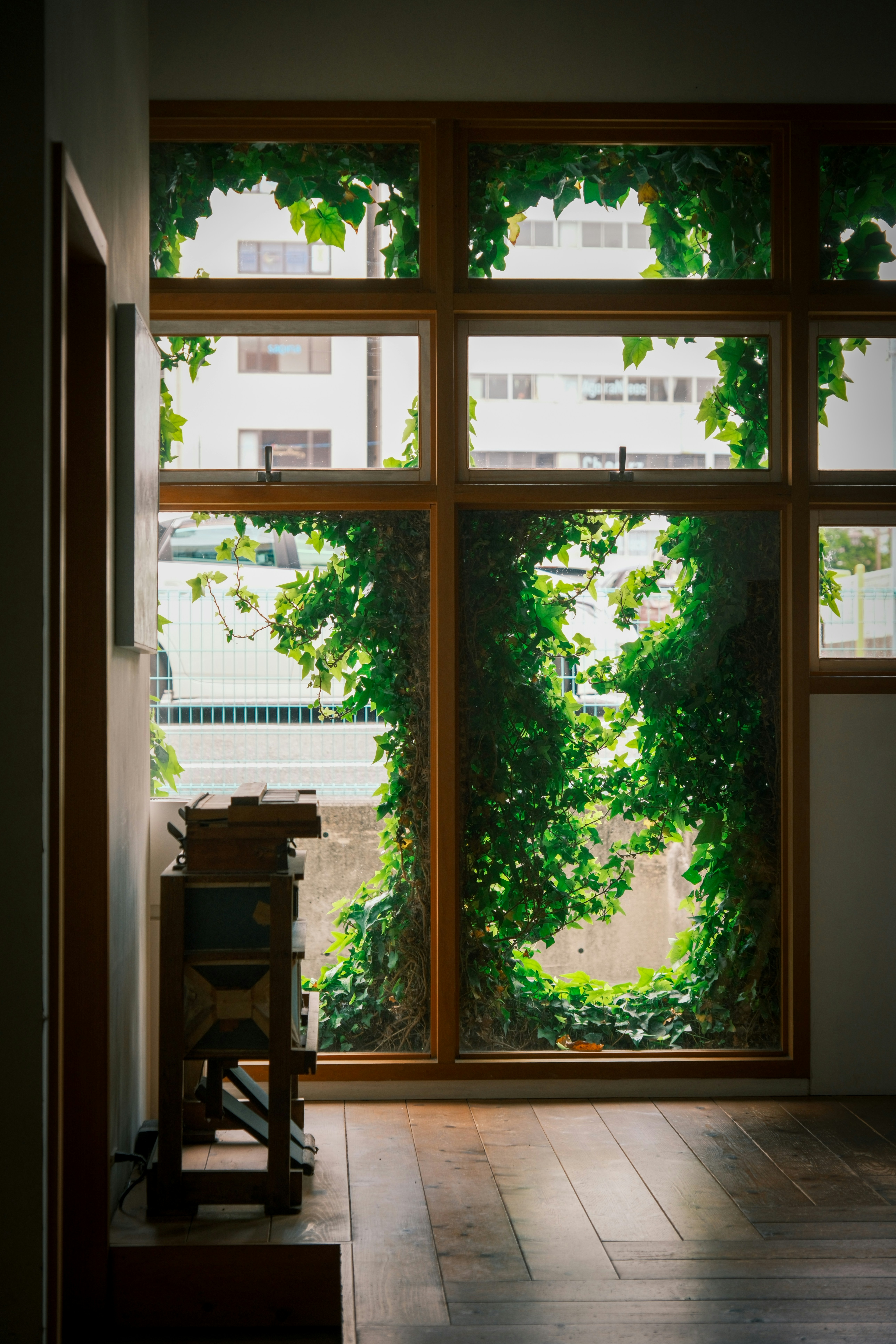 Ivy adorns the window, creating a natural frame.