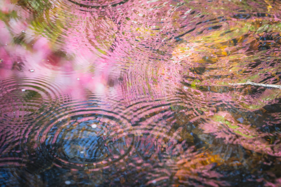 Concentric ripples spread across water reflecting pink, gold, and blue tones. The surface shimmers with abstract reflections and soft motion.