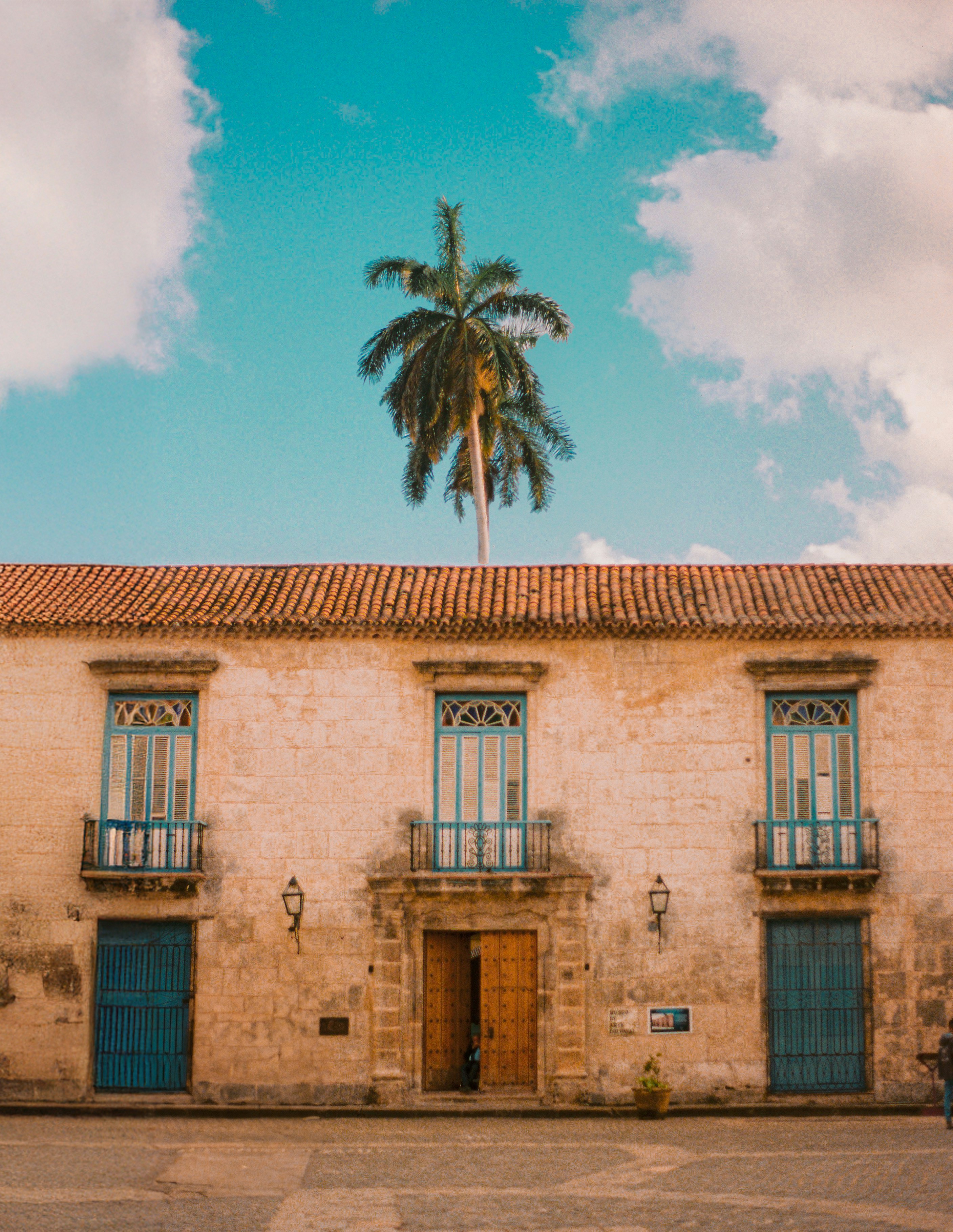 Facade of a Sunlit Colonial Building with a Central Palm Above the Roof