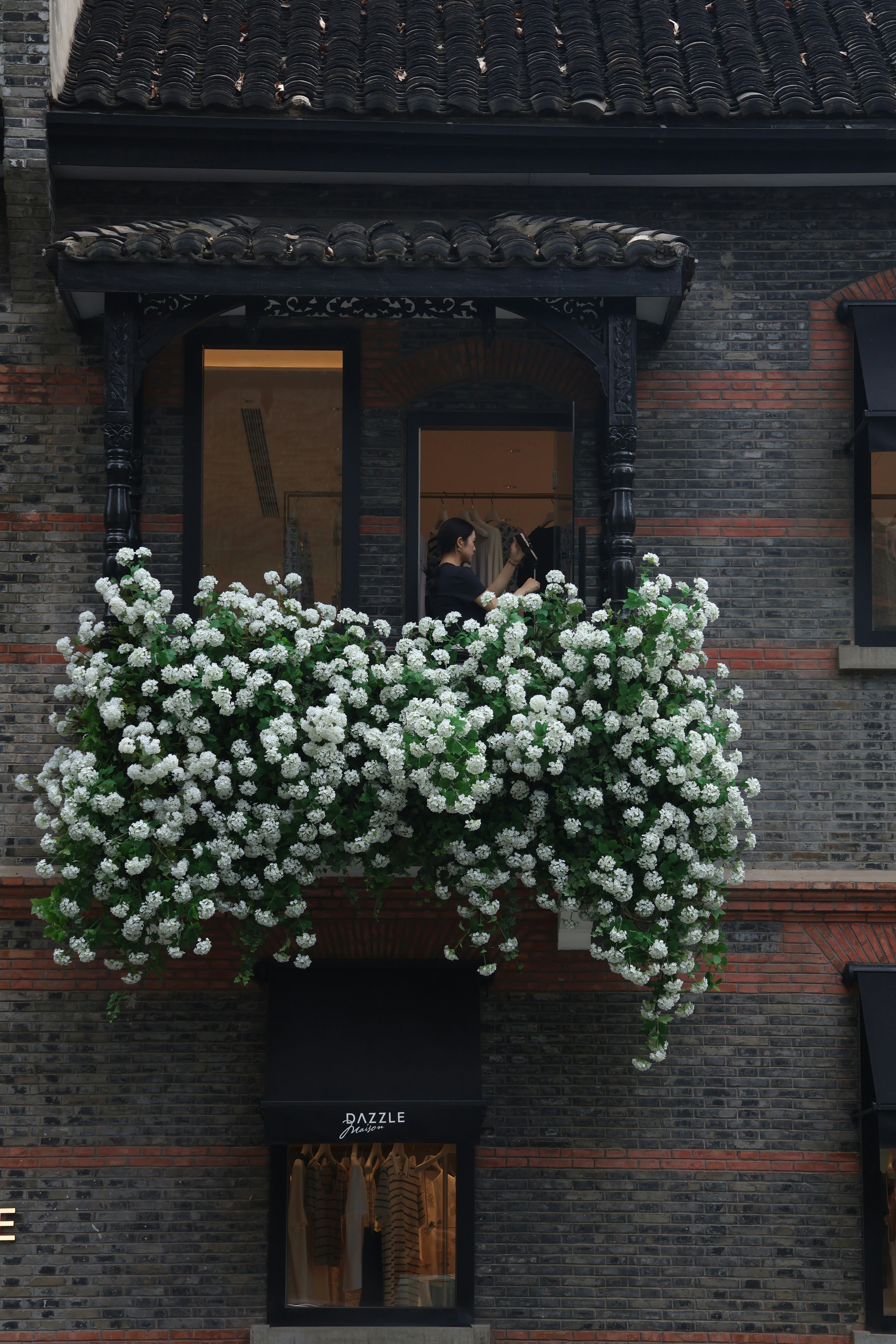 Hydrangea Curtain on a Brick Balcony: A Quiet Studio Peeks Through