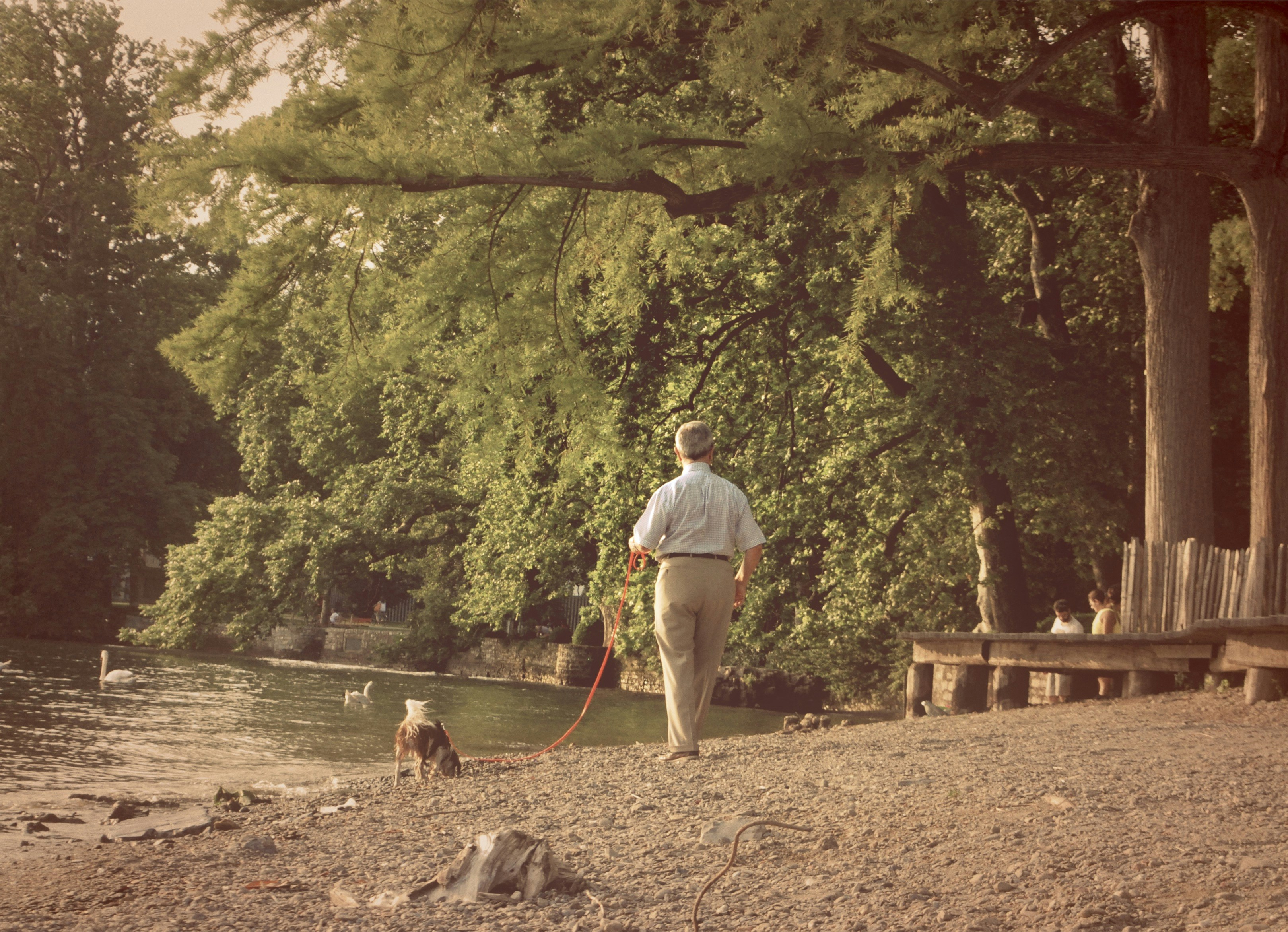 Sunlit Lakeside Stroll: A Man and His Dog in Vintage Light