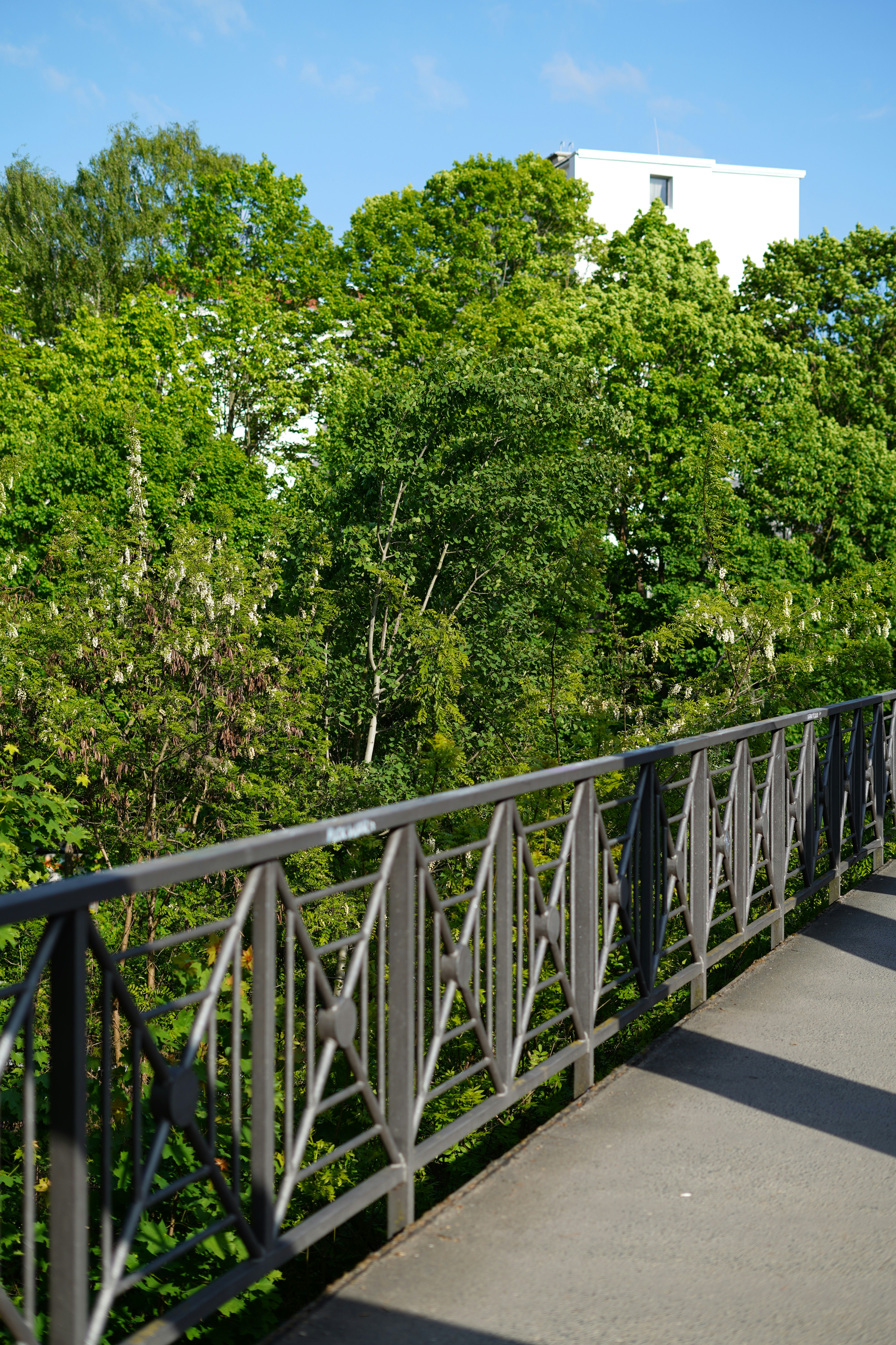 Verdant Overlook: A Bridge to Nature's Embrace