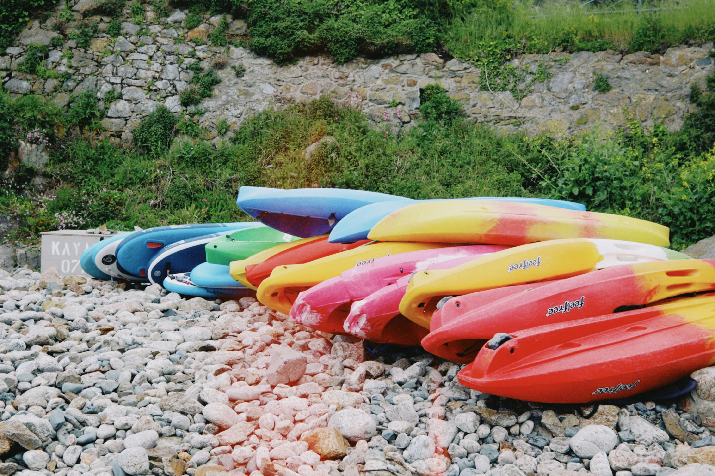 Rainbow Kayaks Rest Along a Pebble Beach Shore