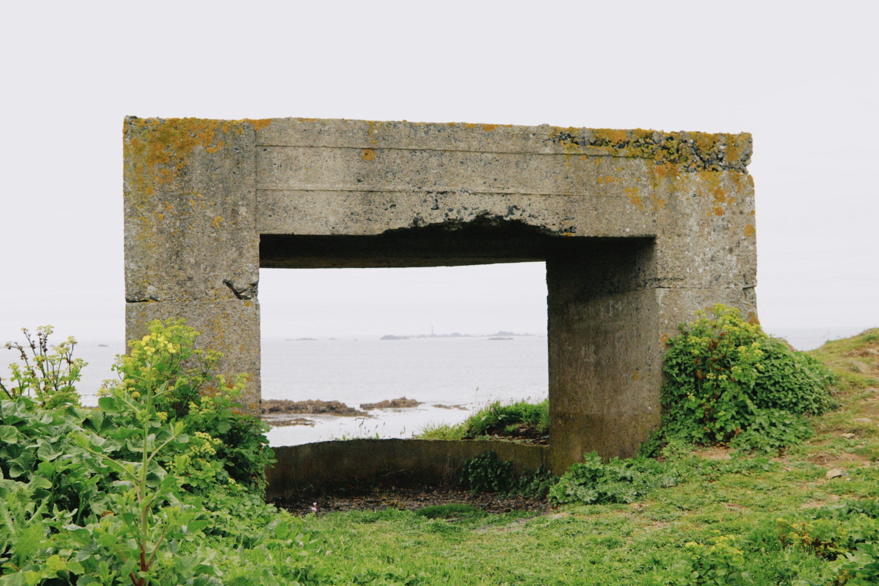 A concrete structure frames the ocean view. photo – Free Plant Image on ...