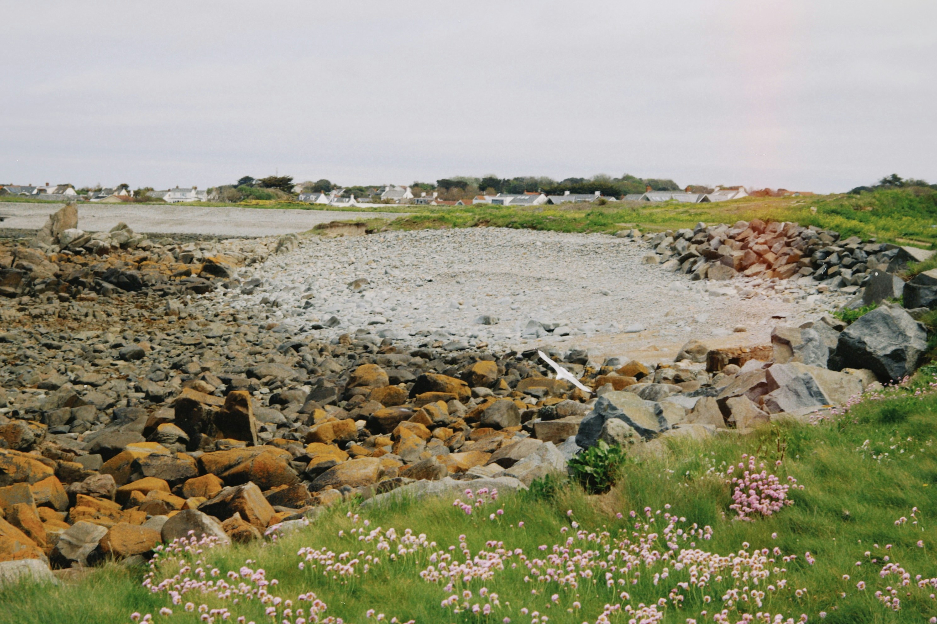 Rocks, Blooms, and a Gentle Rainbow at a Coastal Breakwater