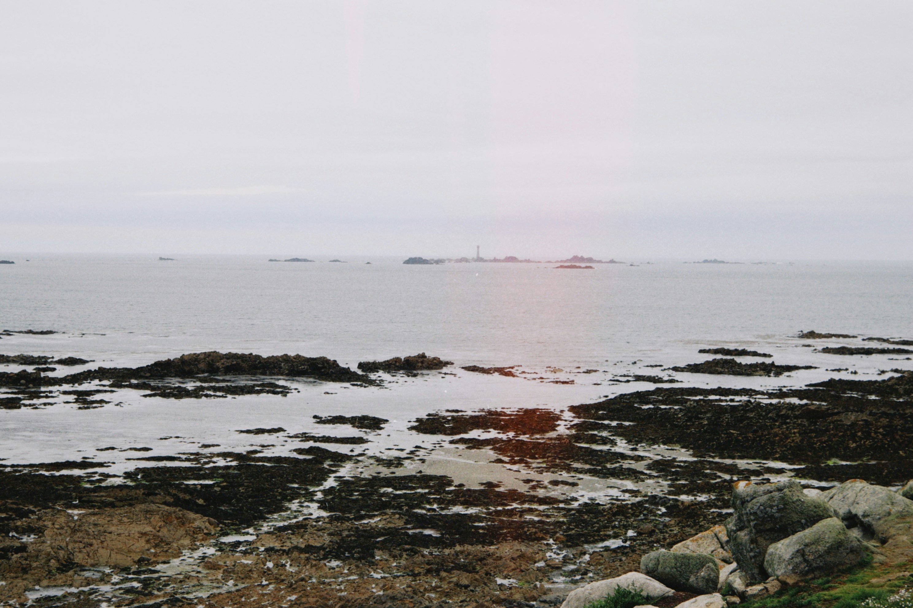 Whispers of the Tidal Shore