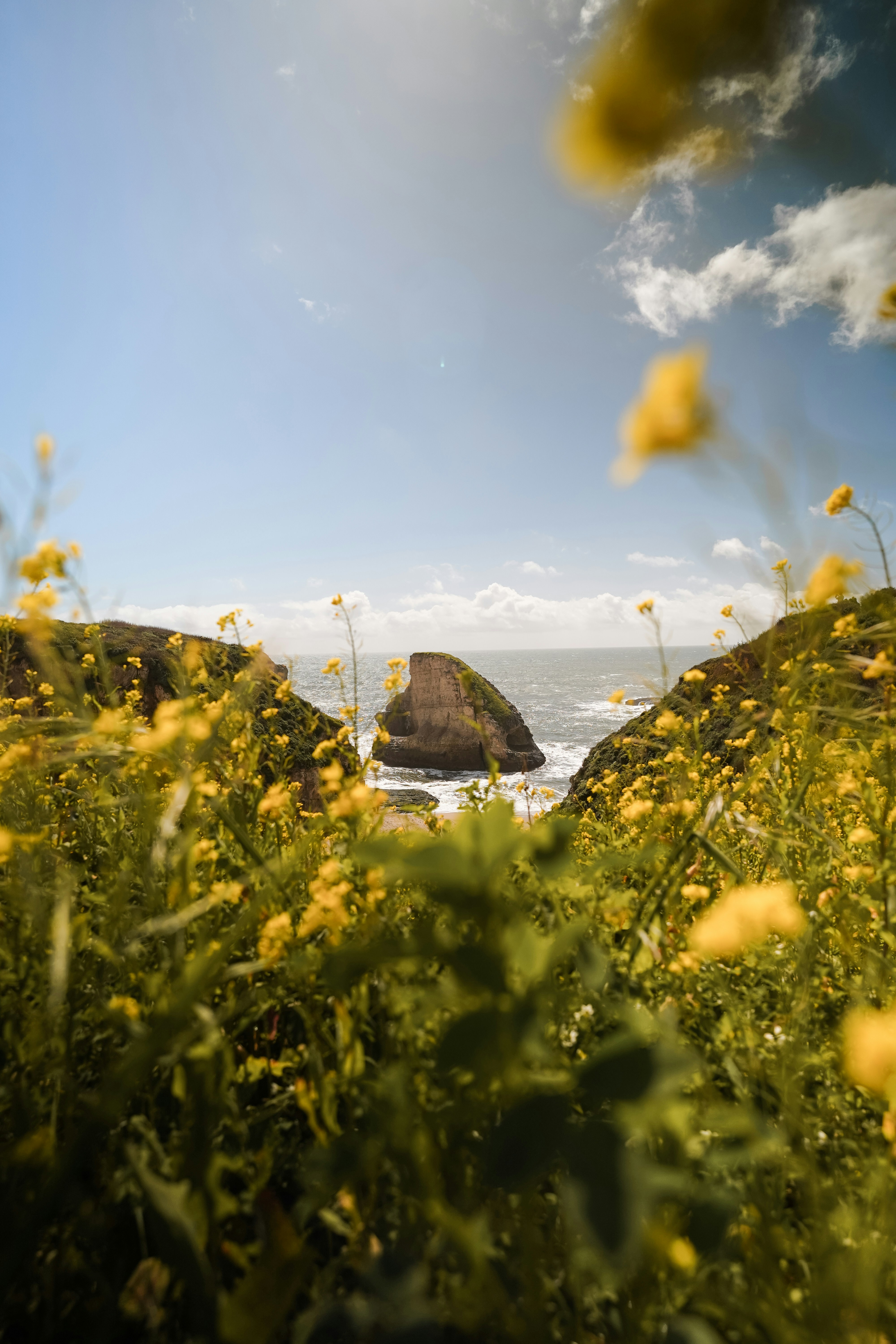 Nature's Gateway: A Coastal EscapeAbdul Haseeb M M