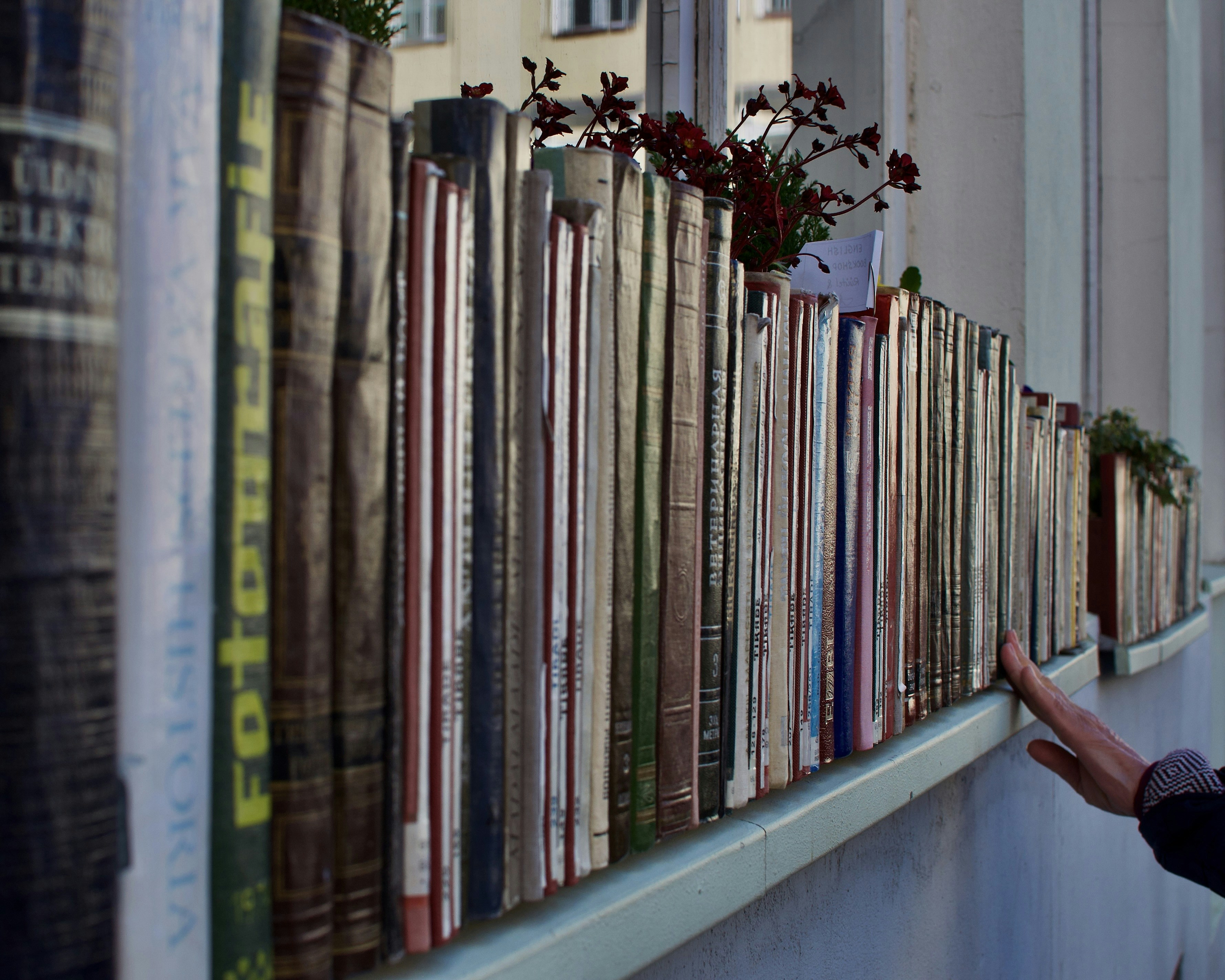 Long row of vintage books lined on a shelf, with a hand reaching towards them, accompanied by potted plants. 