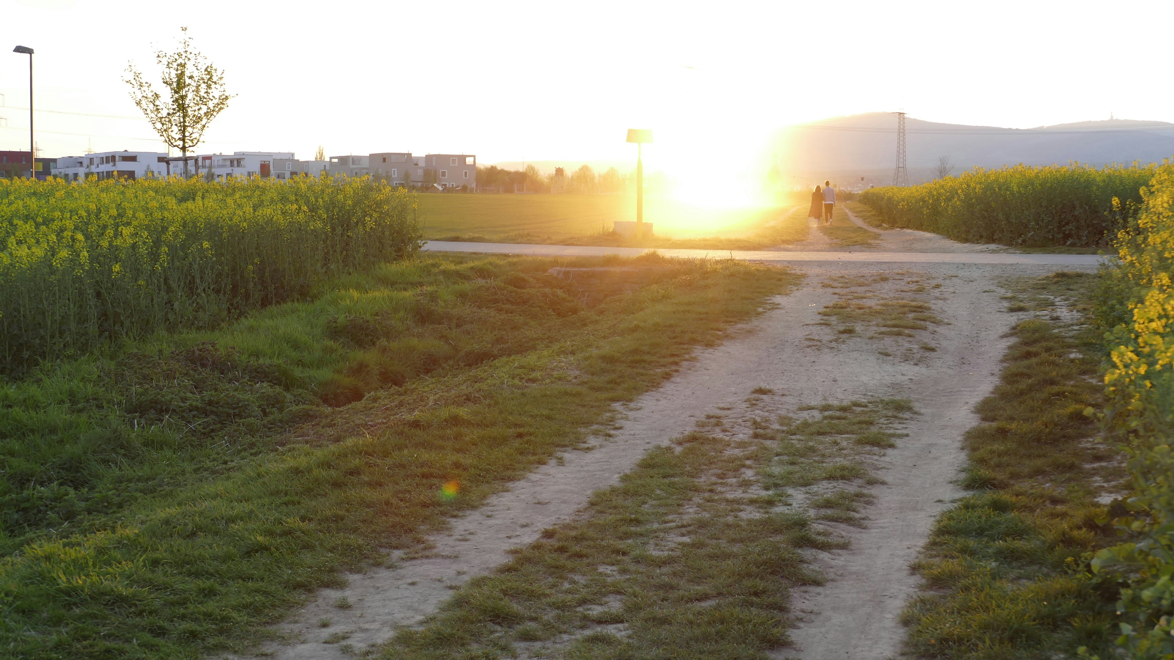 Sunset over a dirt road and fields.