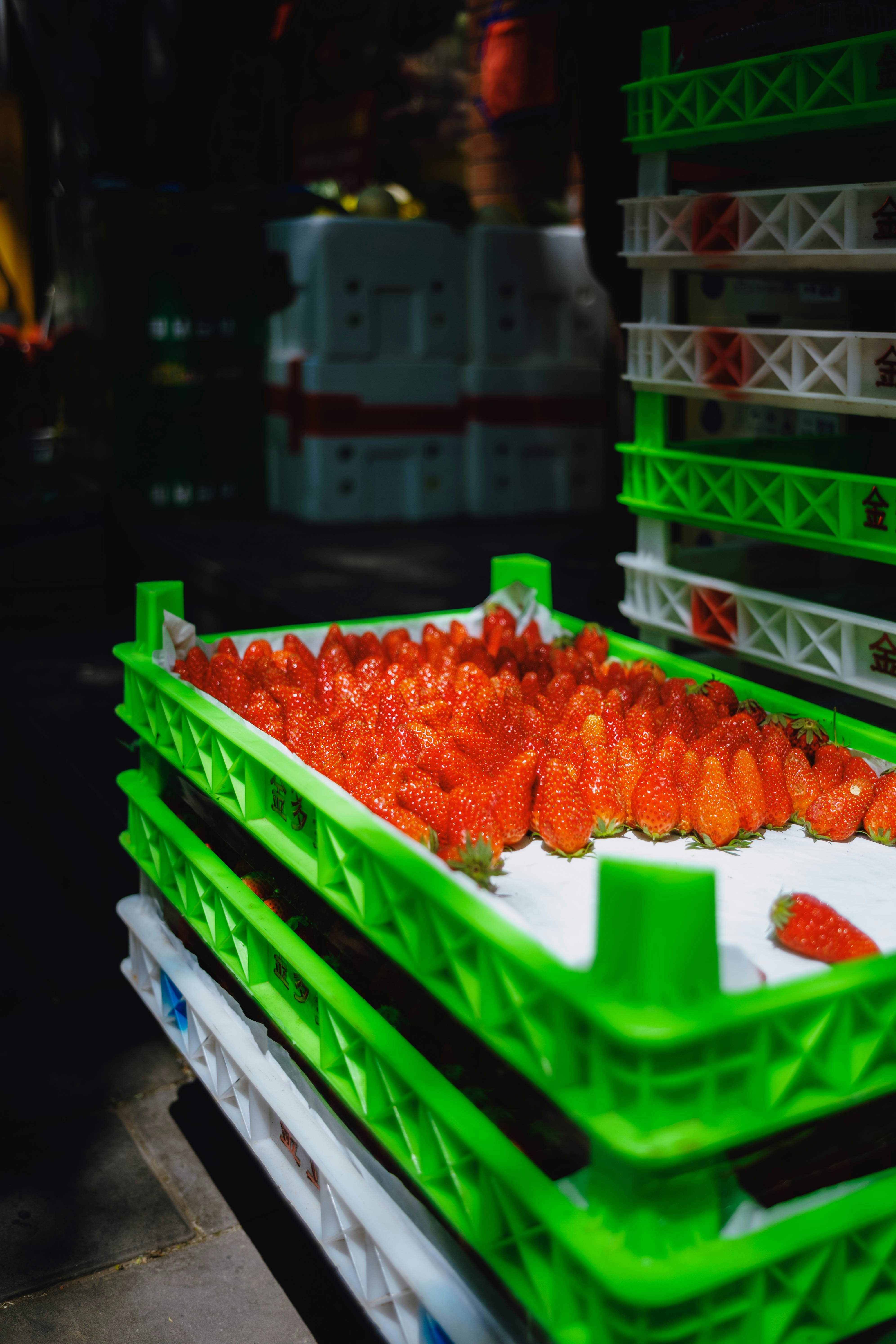 Harvested Delights: A Strawberry Showcase