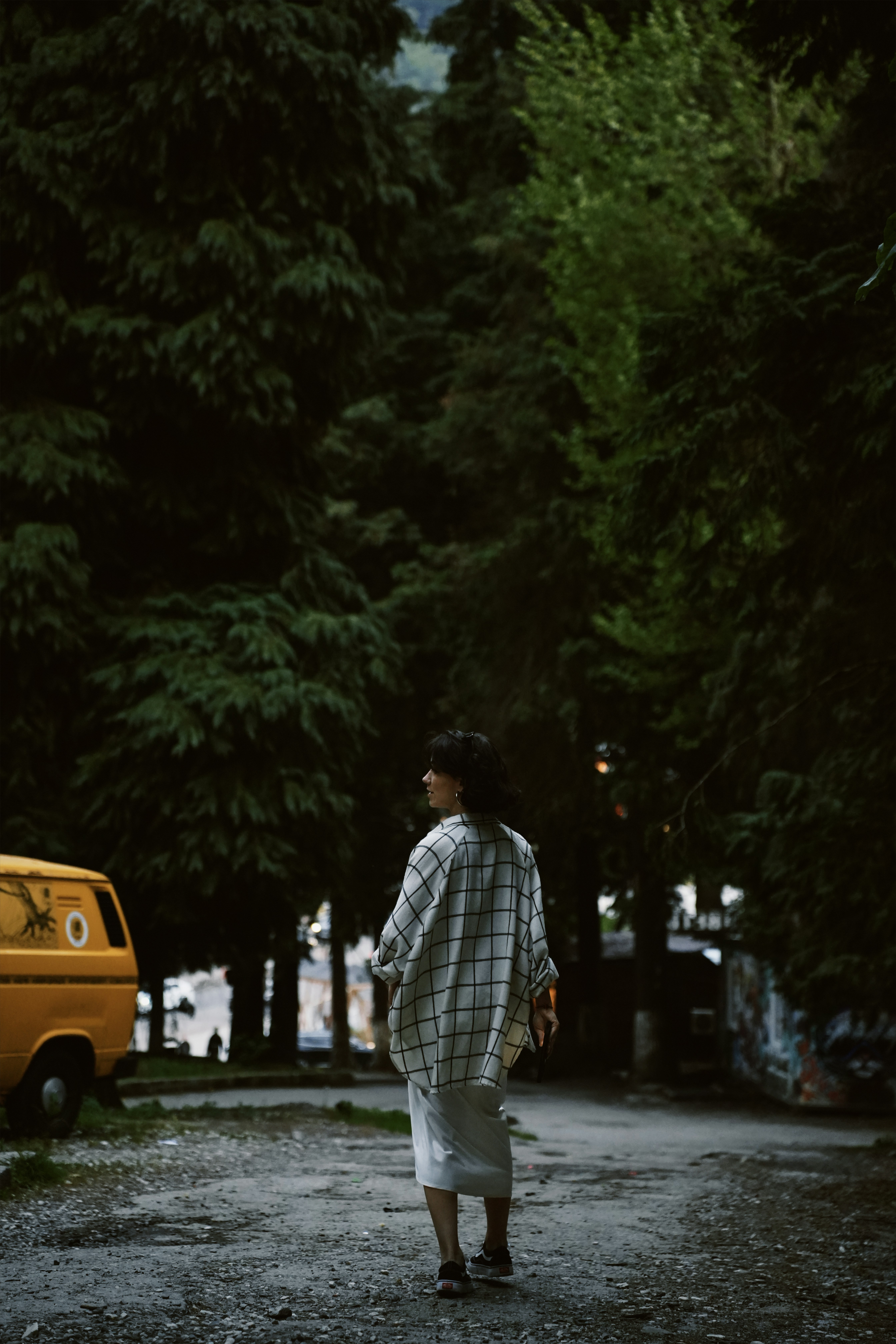 Dusk Among the Pines: A Solitary Figure by the Yellow Van