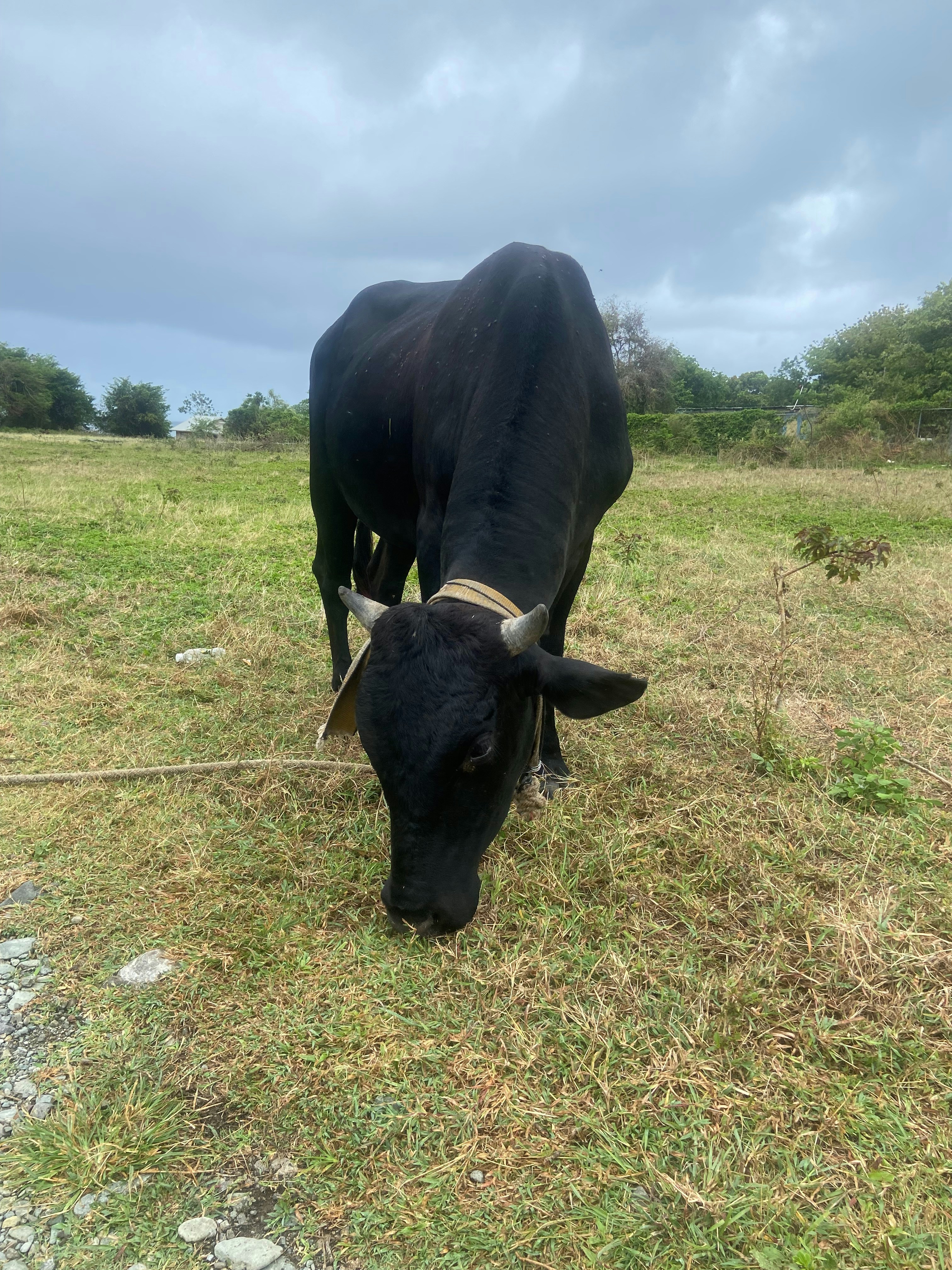 St Aubyn (@staubyn) | Unsplash Photo Community