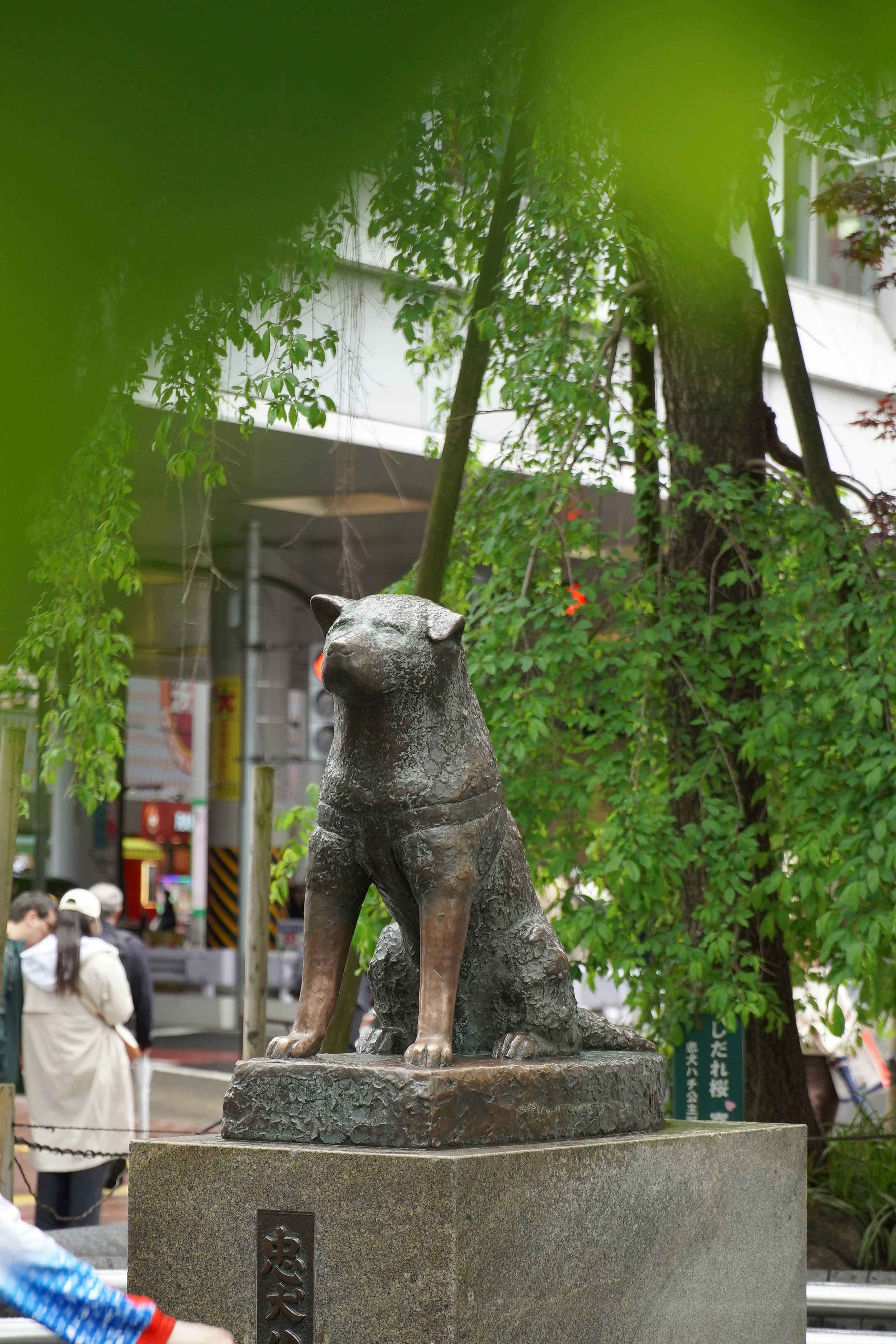 Urban Komainu: Weathered Guardian Framed by Ivy