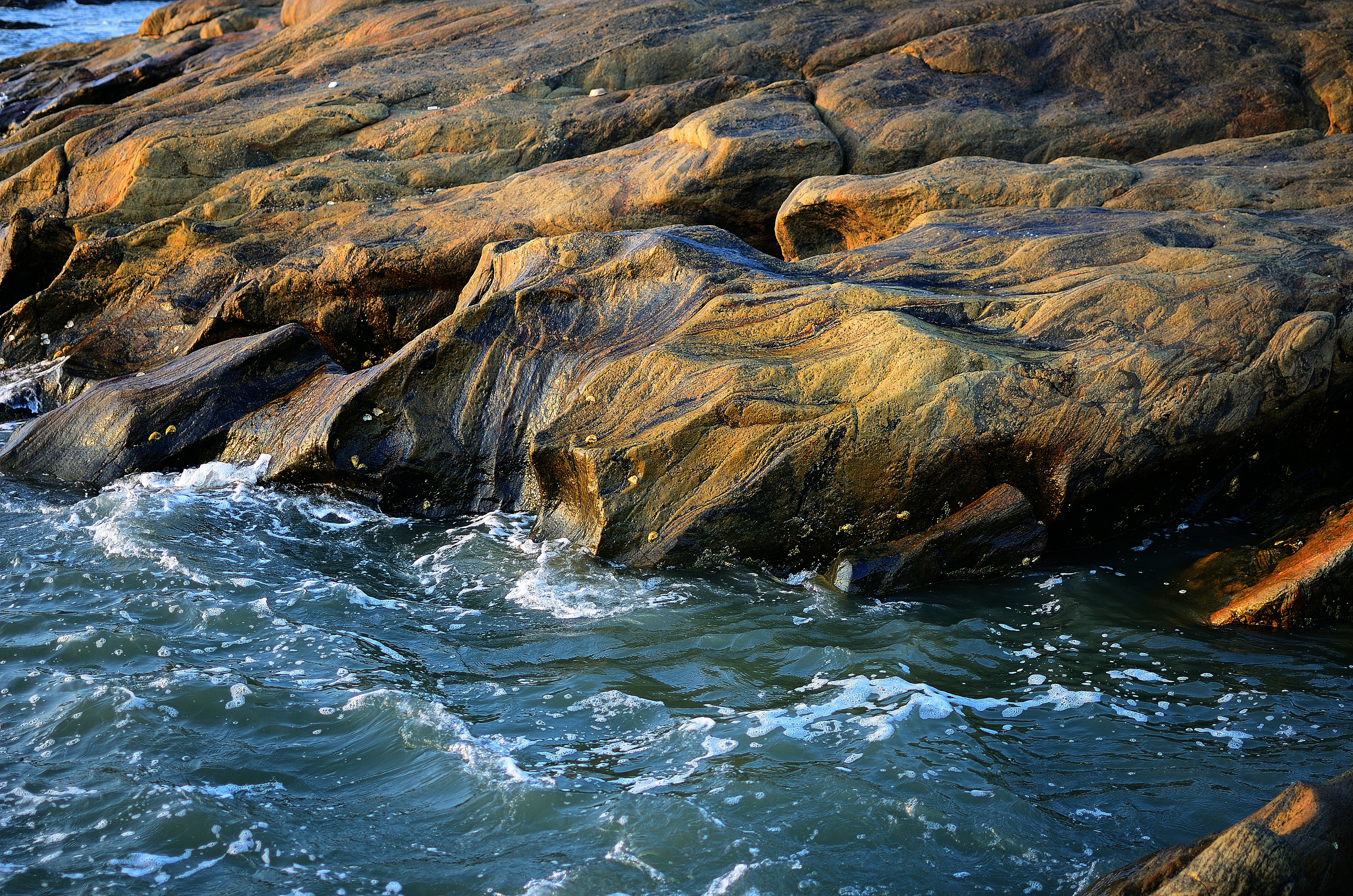 Whispers of the Tides: Nature's Sculpted Canvas