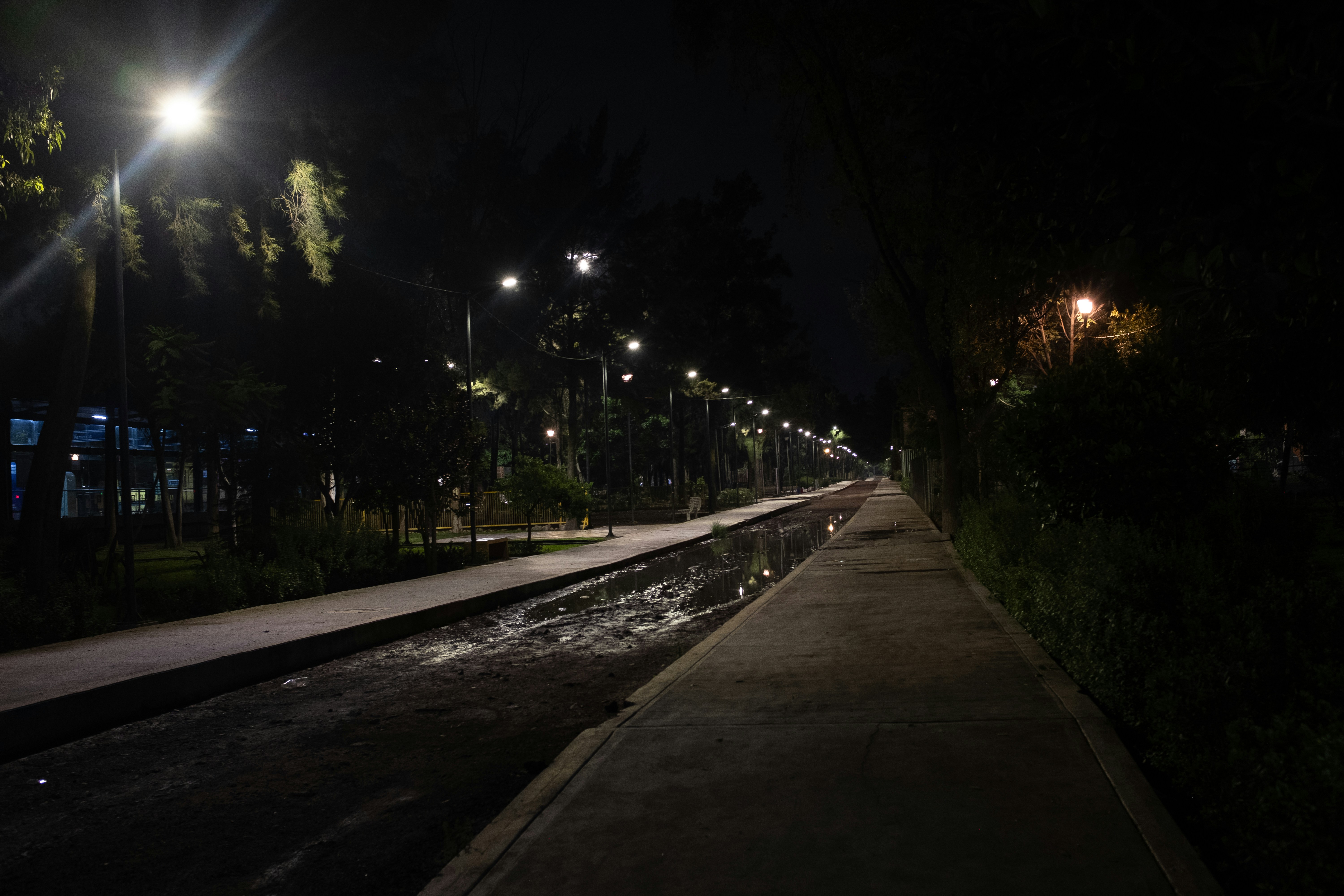 Everything You Need to Know About Solar Pathway Lighting | Vizona