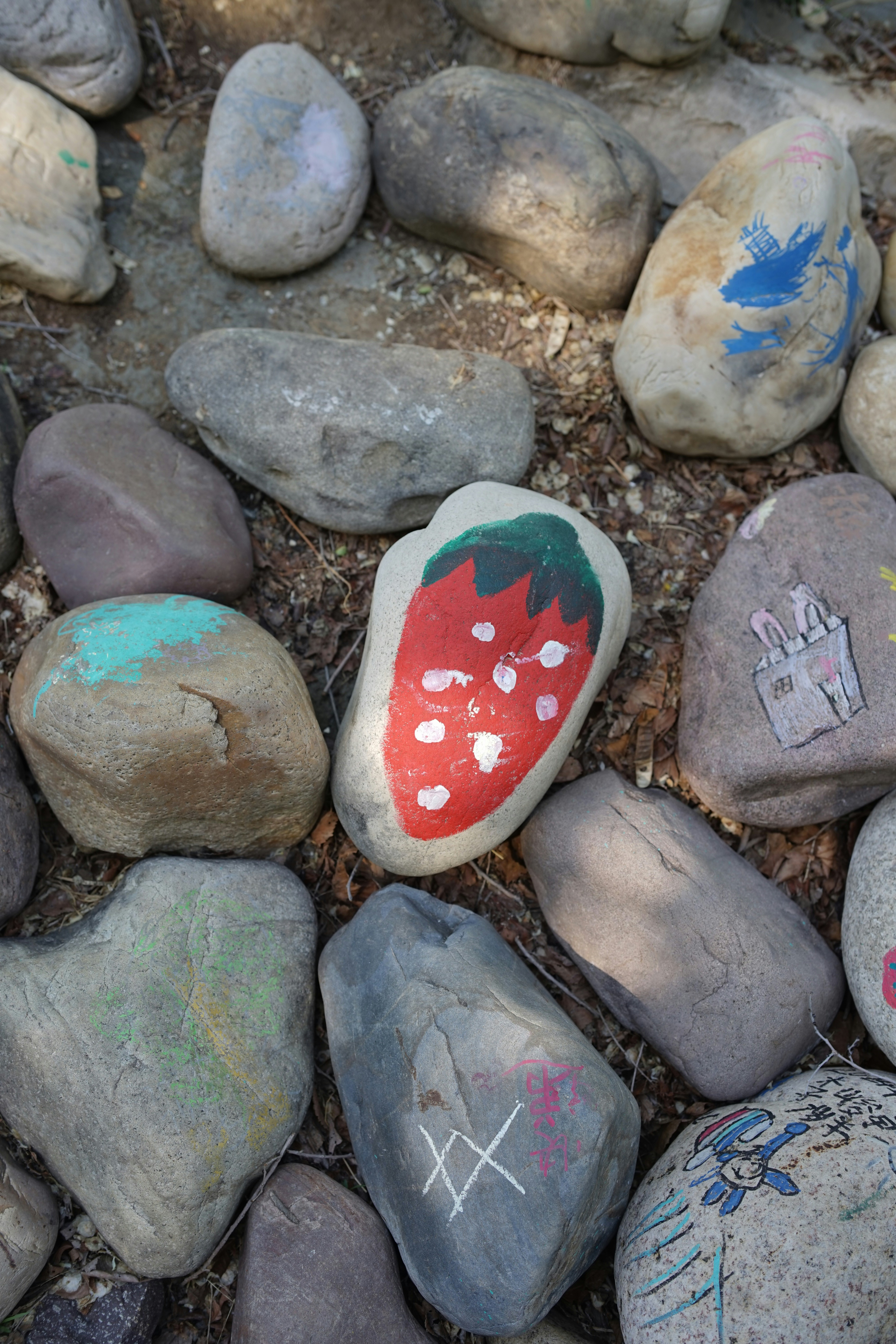 Painted Pebble Portraits: A Row of Story Stones on the Ground