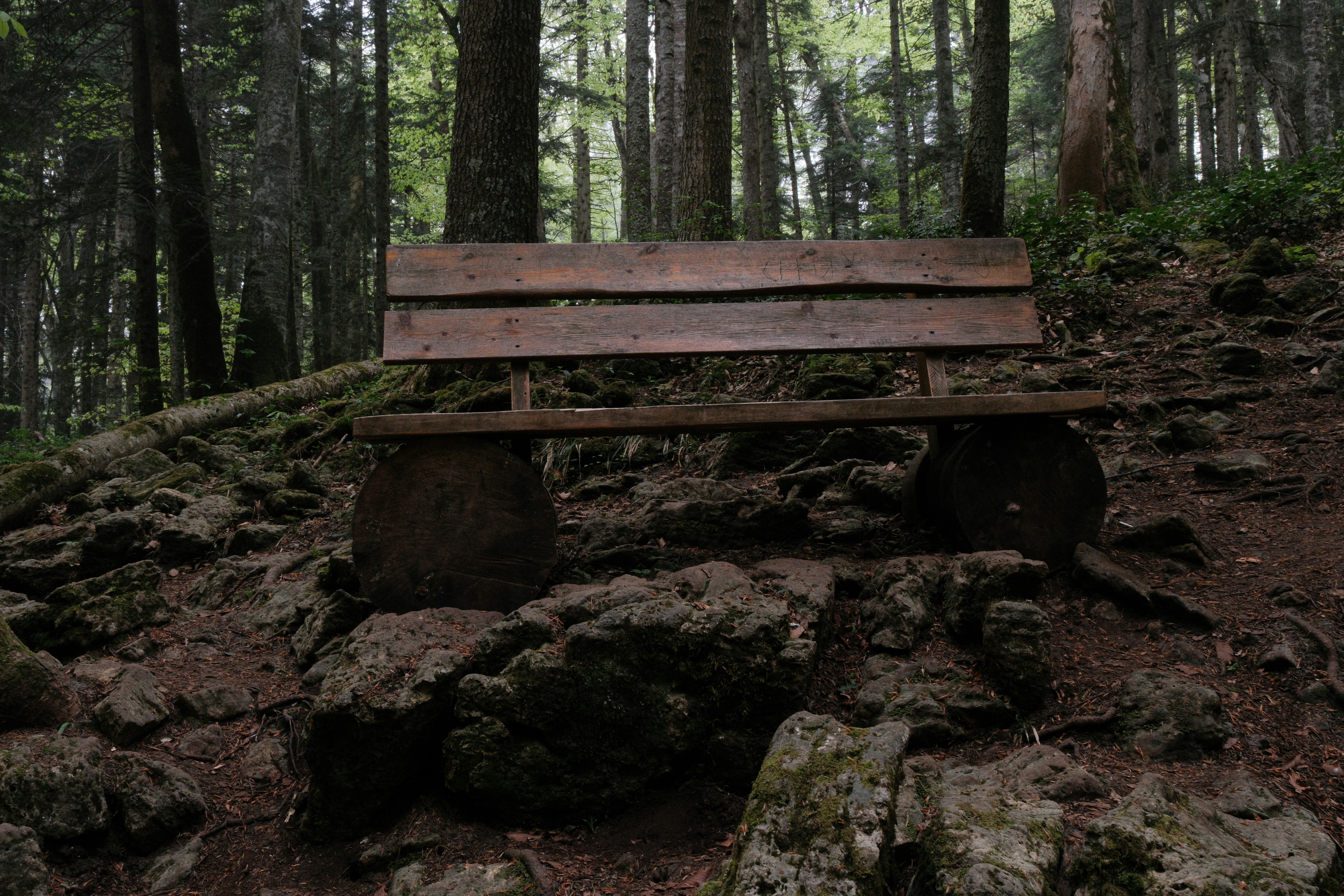 Nature's Resting Spot: A Rustic Retreat
