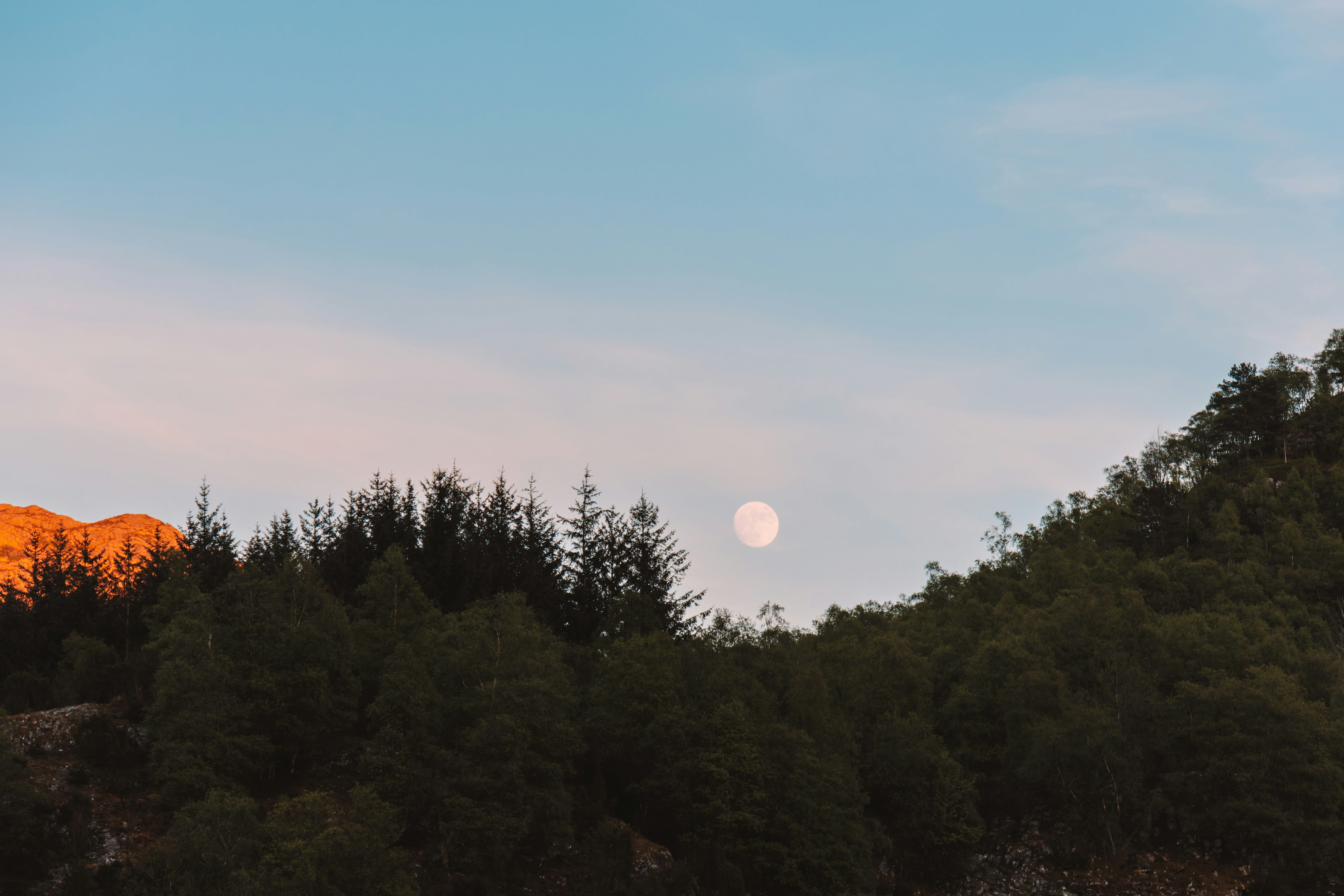 Moonlit Serenity Above the Highland Canopy