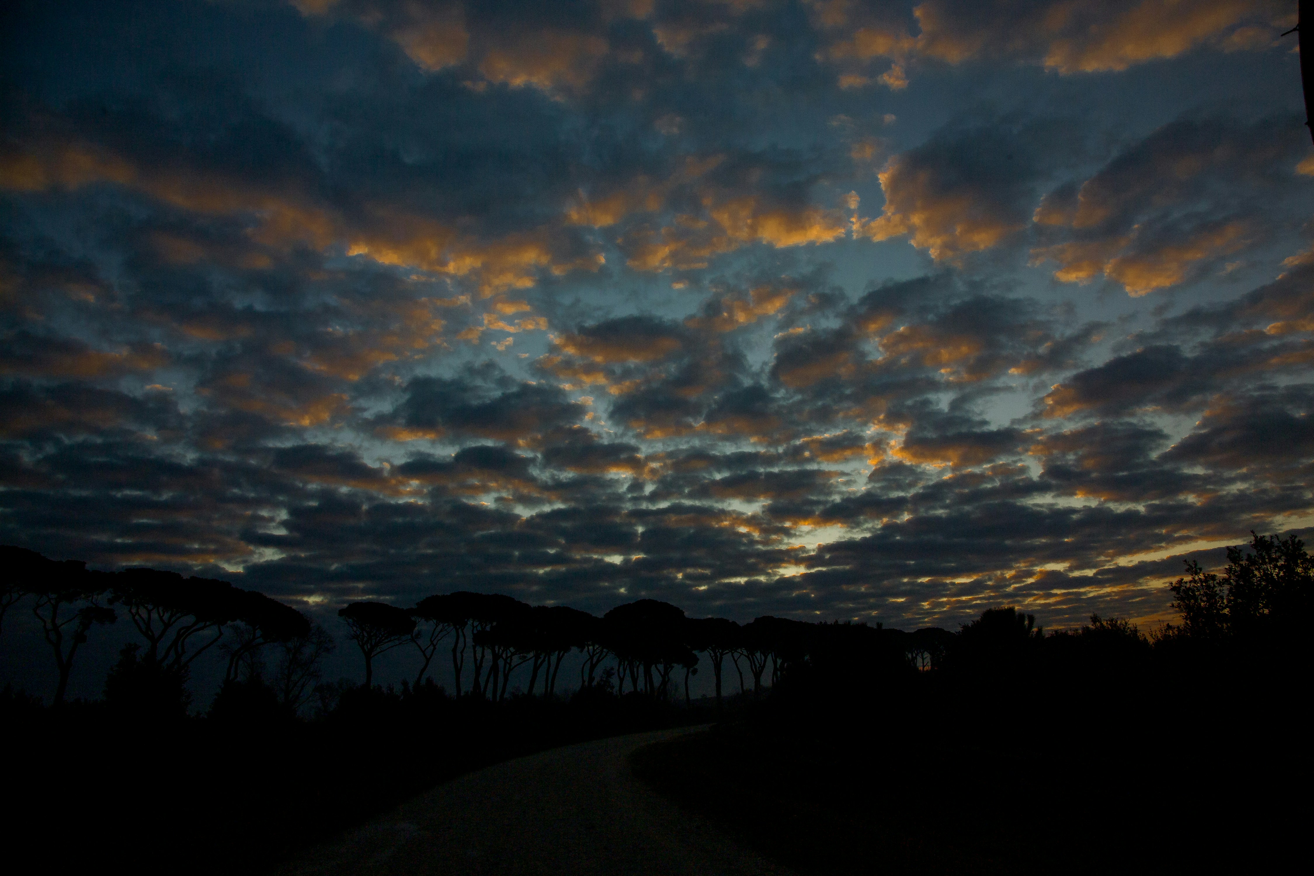 A winding road leads through silhouetted trees beneath a dramatic sky filled with textured clouds at twilight.