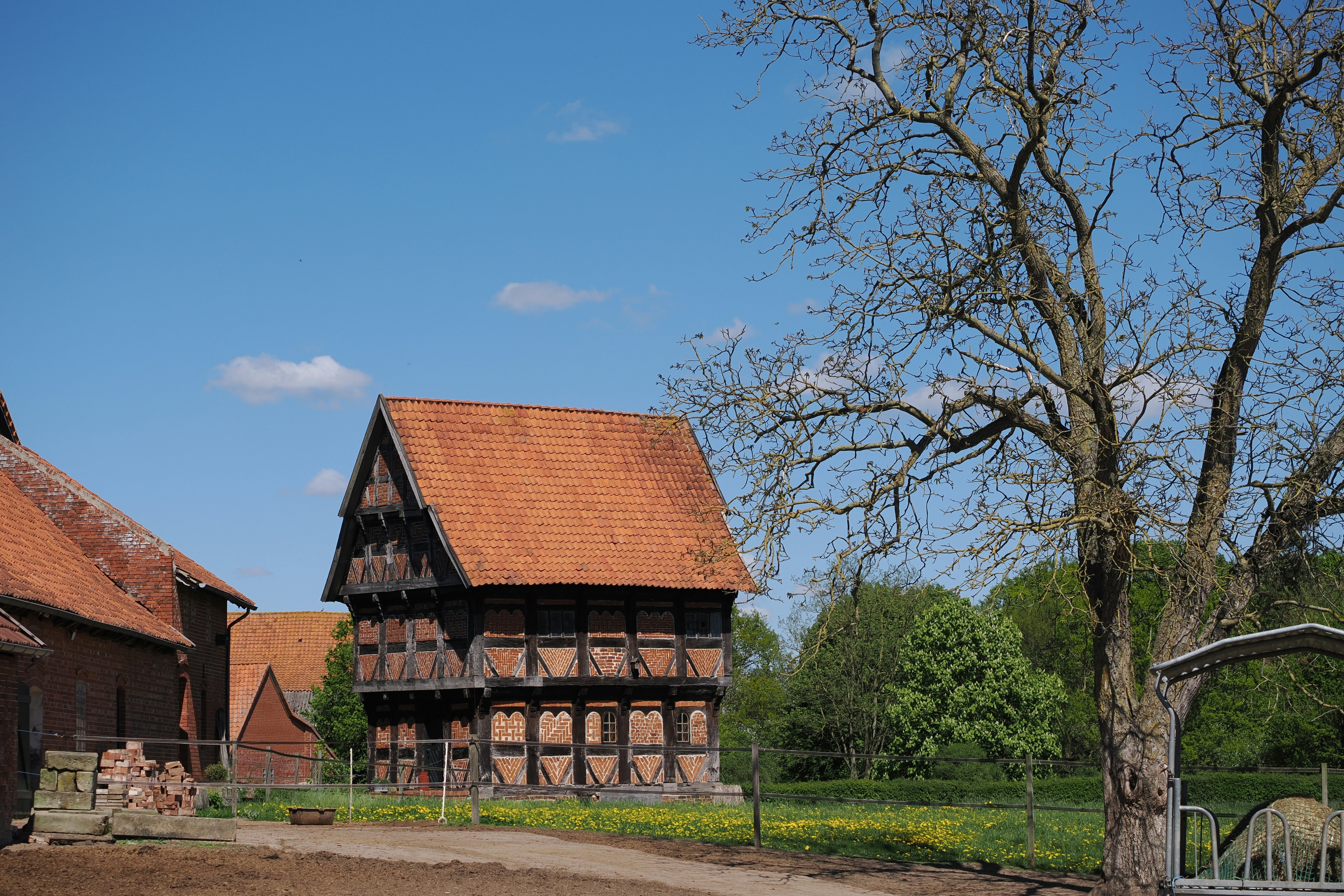 Medieval Housing: A Comprehensive Guide