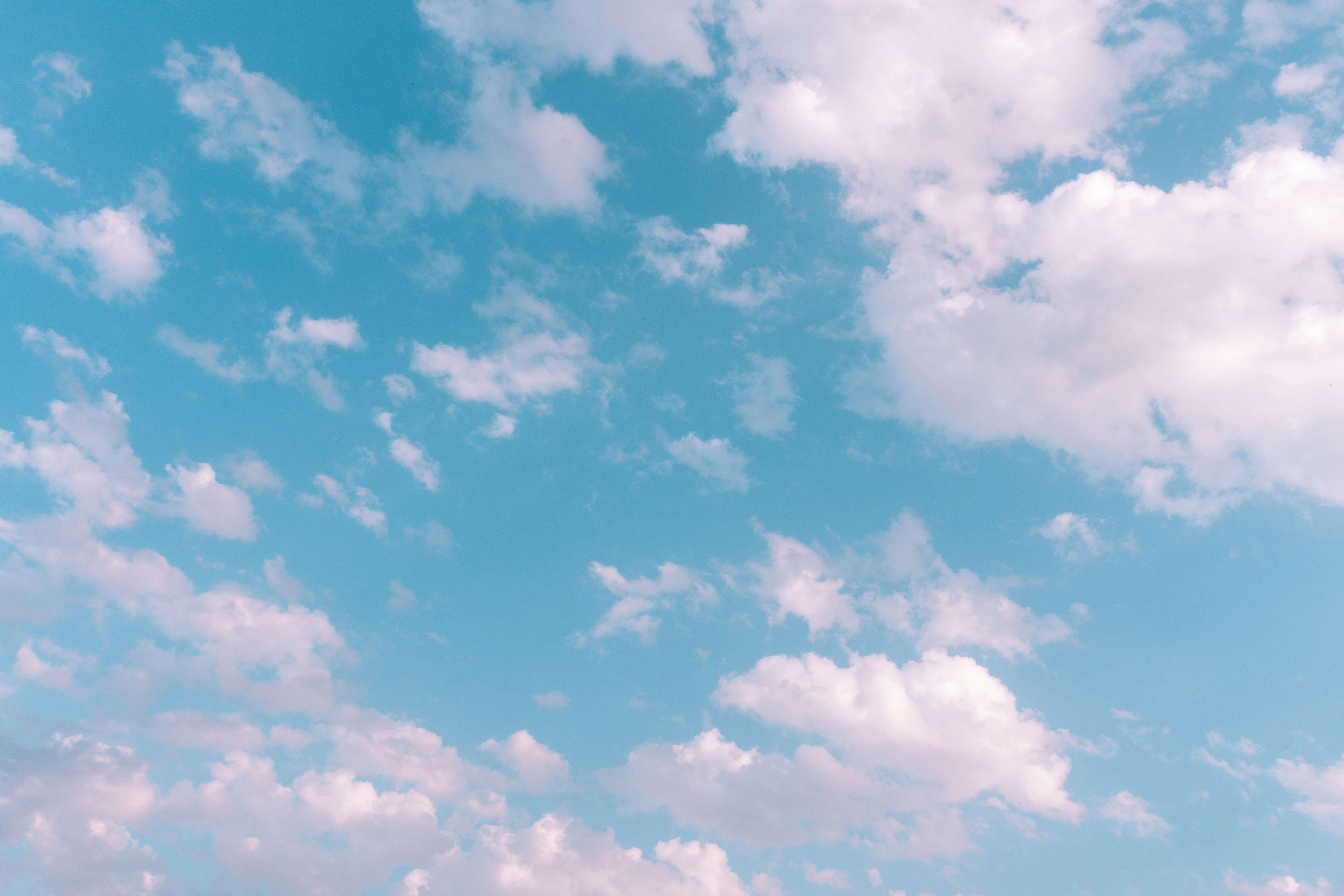 Photo by Ali Sedighi with Sony Alpha 6700