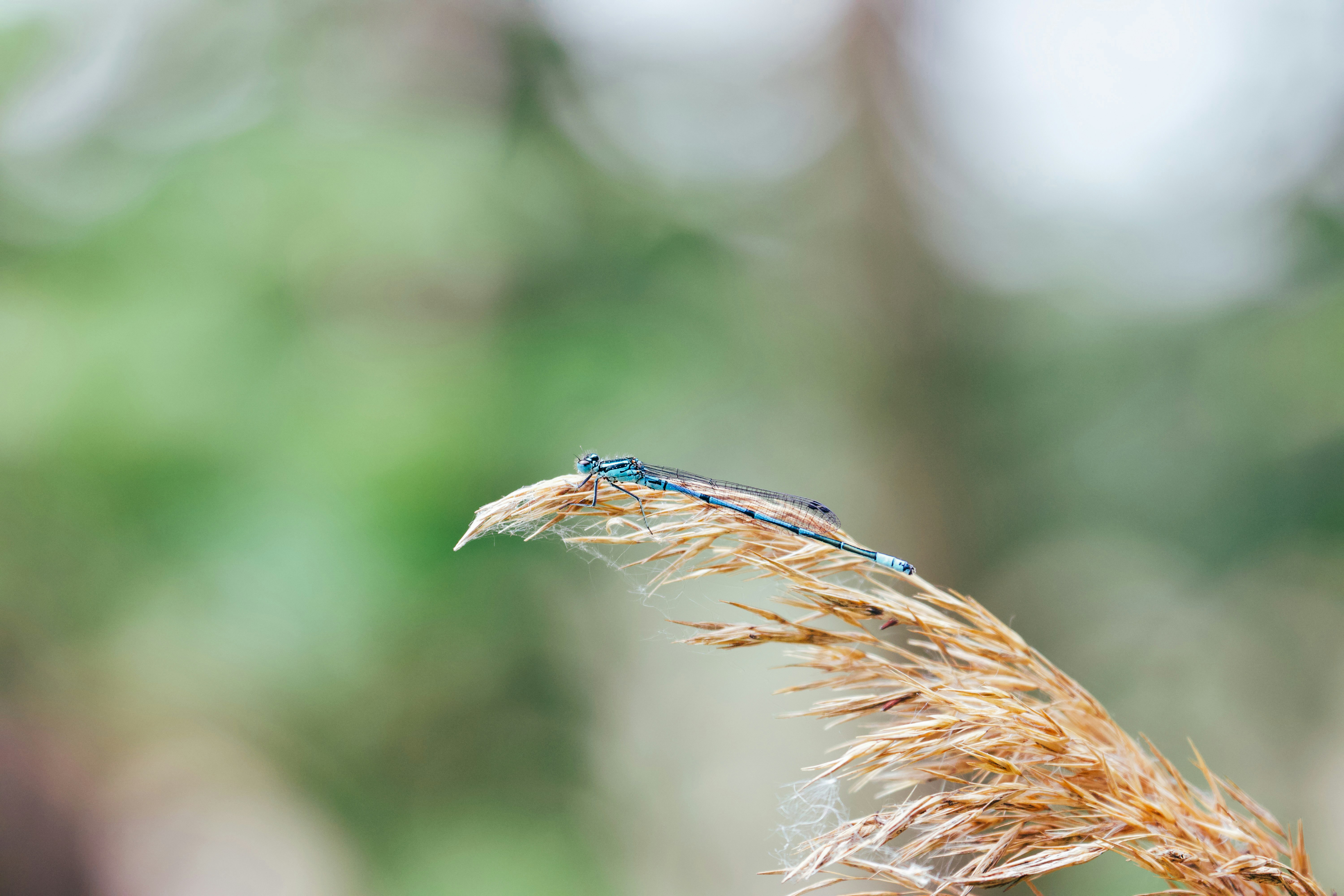 Photo by Jakub Neskora with Canon EOS 250D