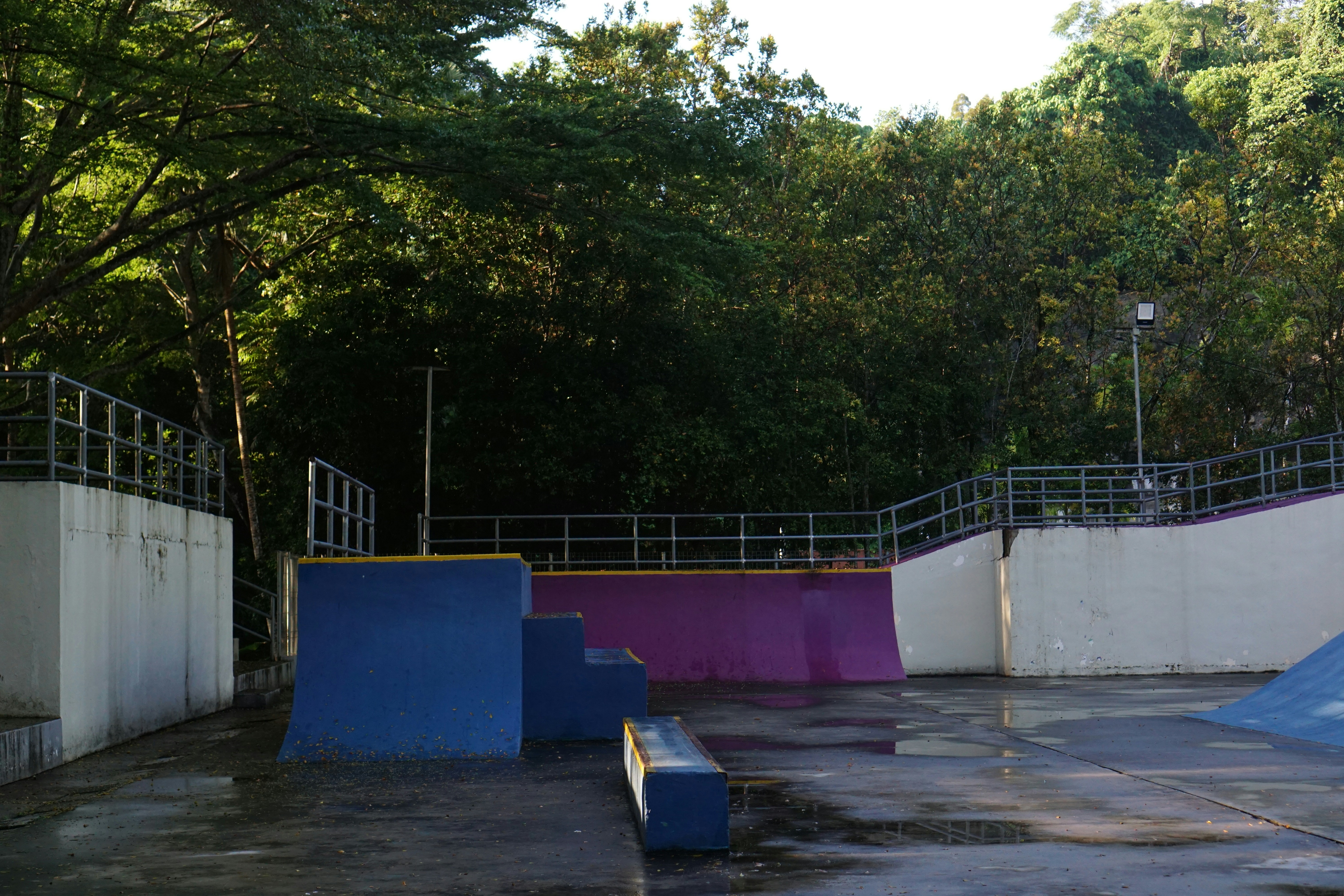 A vibrant skatepark scene featuring colorful ramps and a smooth concrete surface, surrounded by lush greenery. The early light casts soft shadows across the area.