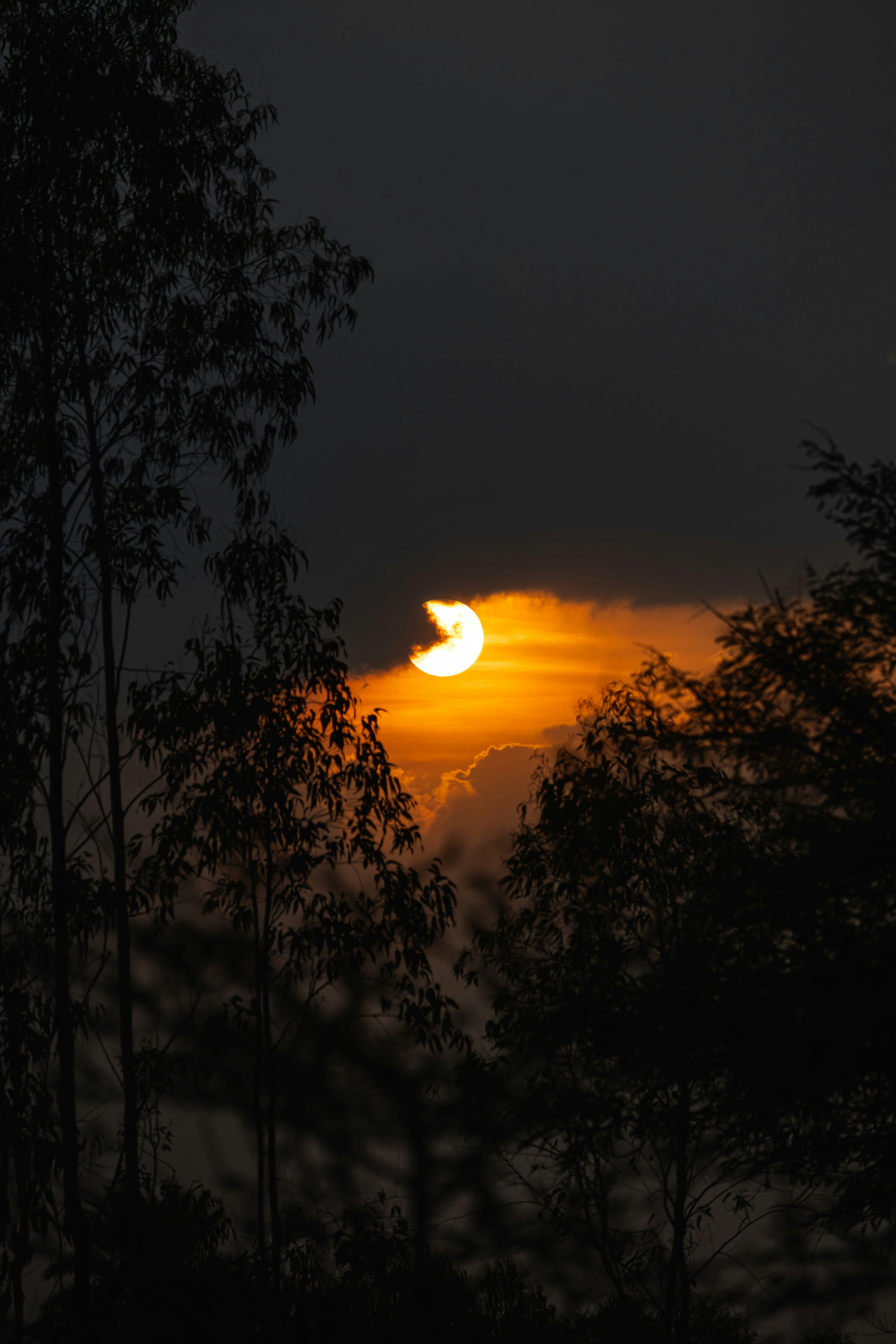 Eclipse Embrace: Nature's Celestial Dance