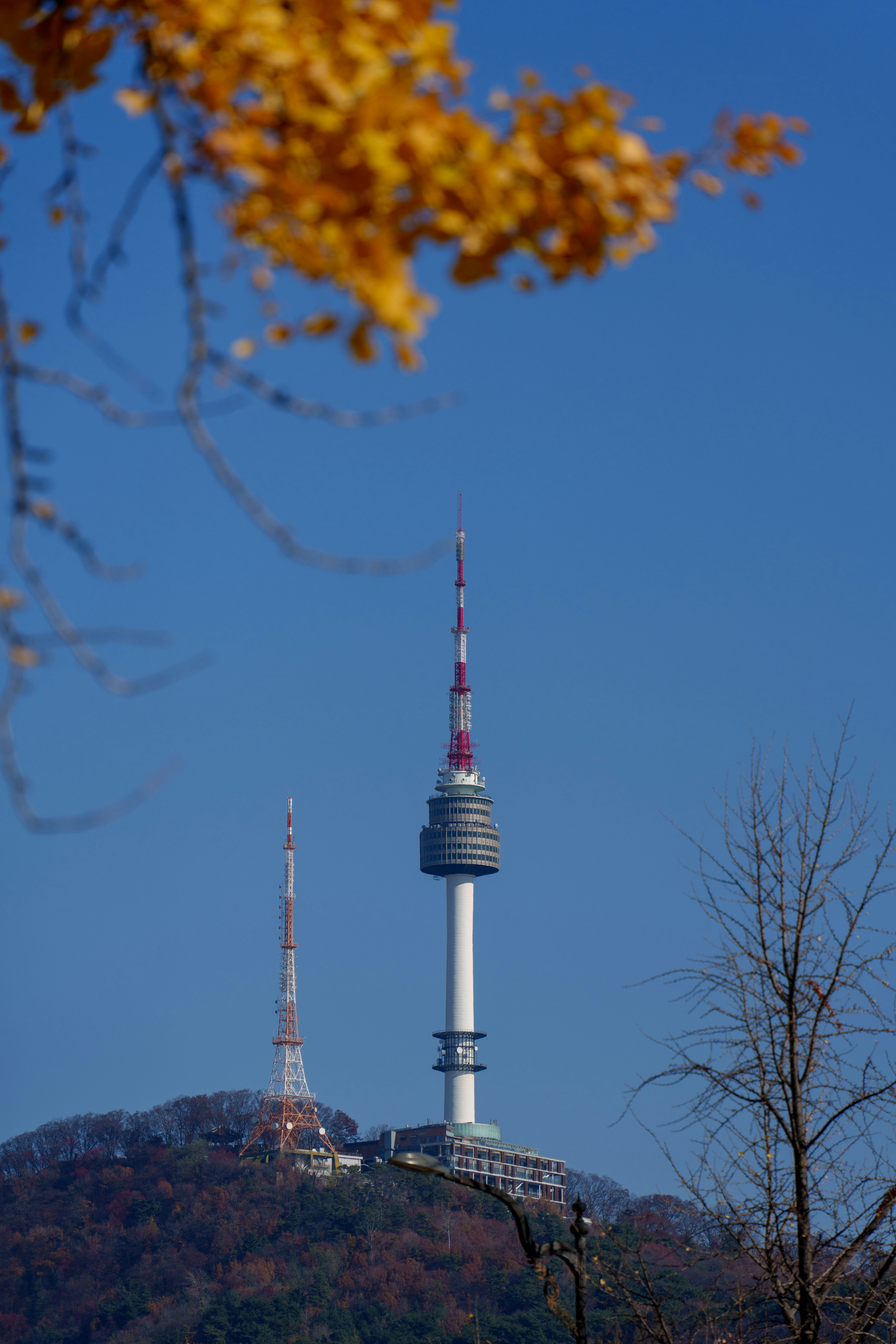 Seoul's Namsan Tower rises prominently against a clear blue sky, framed by autumn foliage. The contrasting colors highlight the season's beauty.