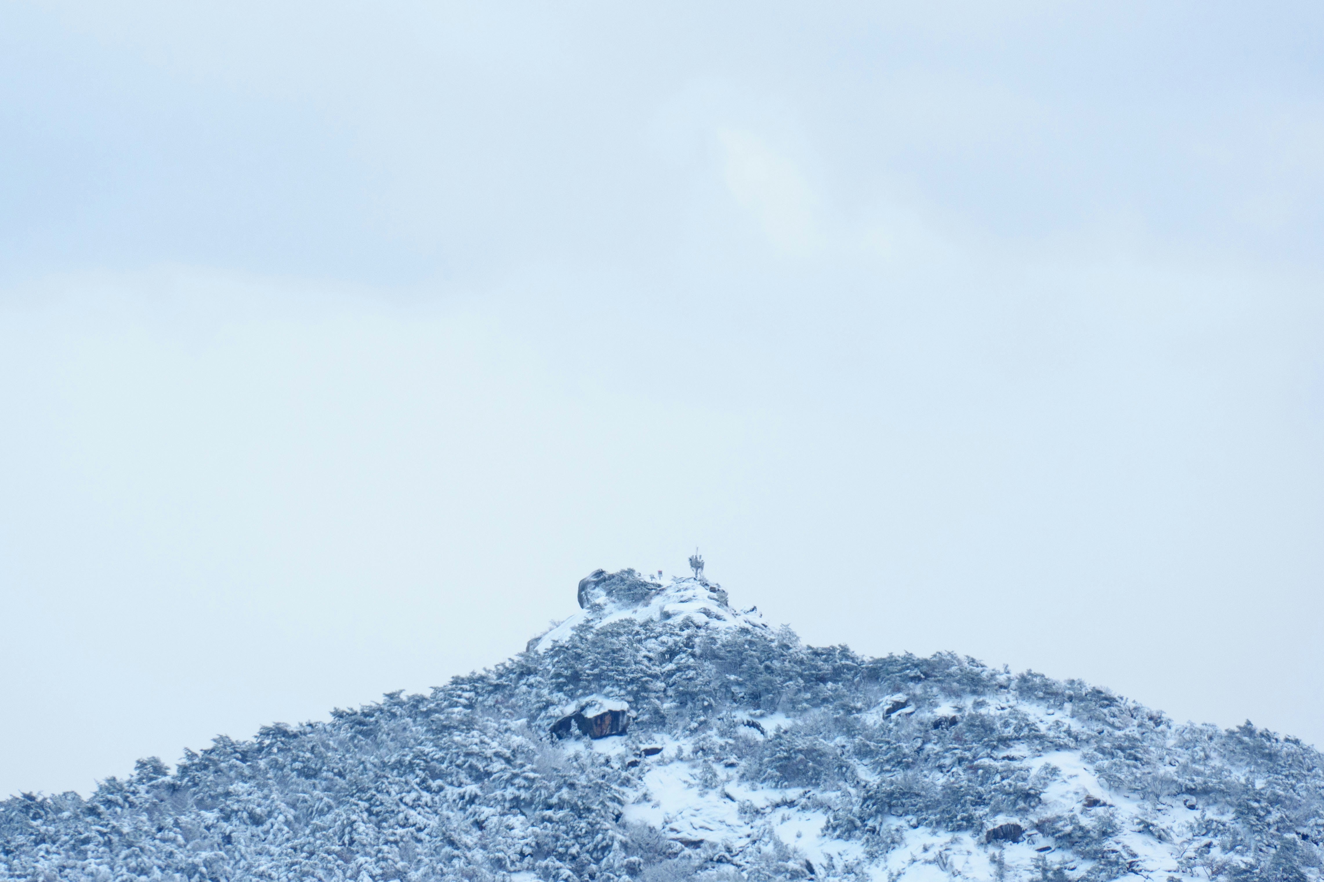 Winter's Whisper on the Summit