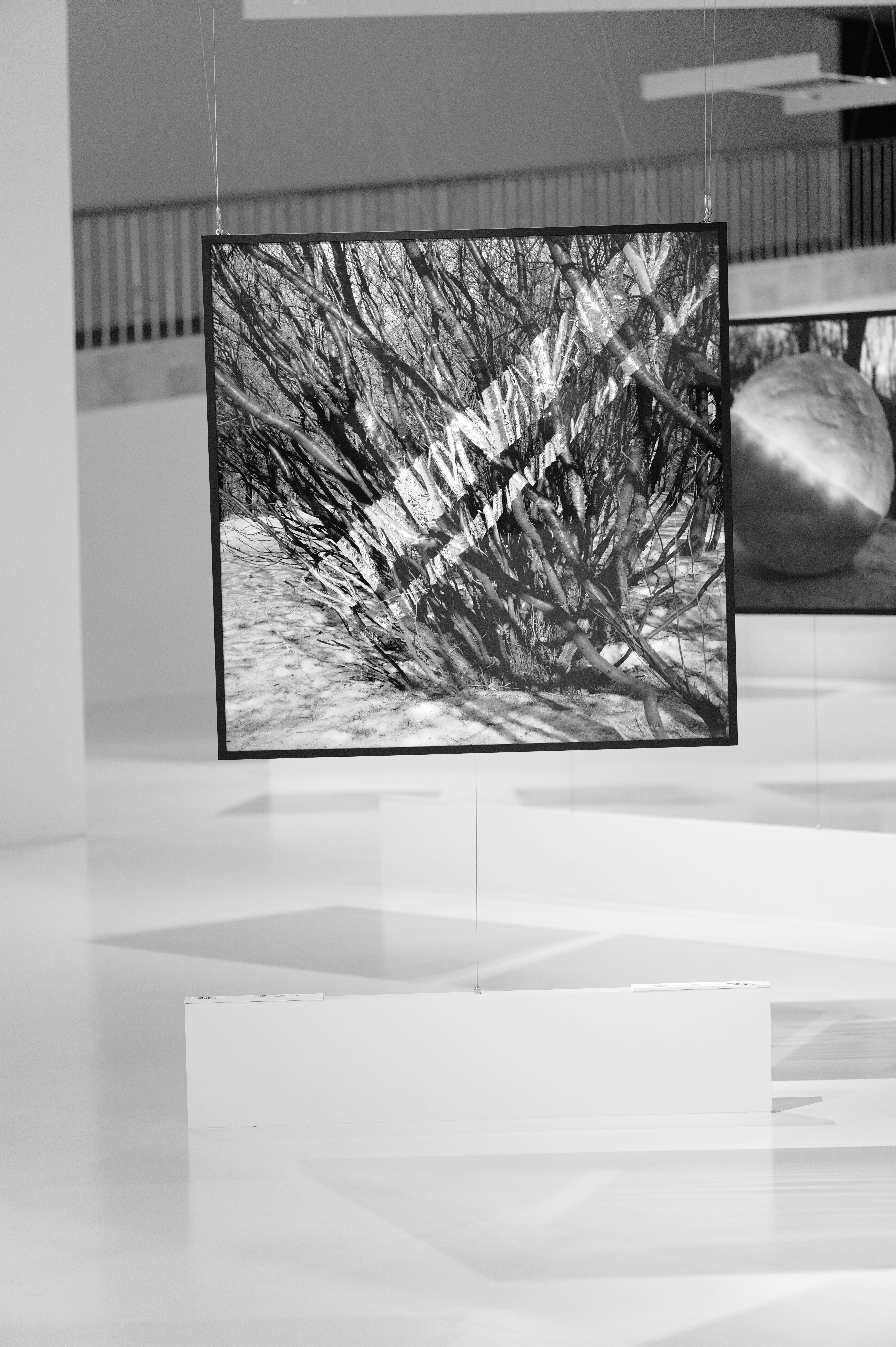 Suspended Framed Winter: Quiet Geometry in a White Gallery