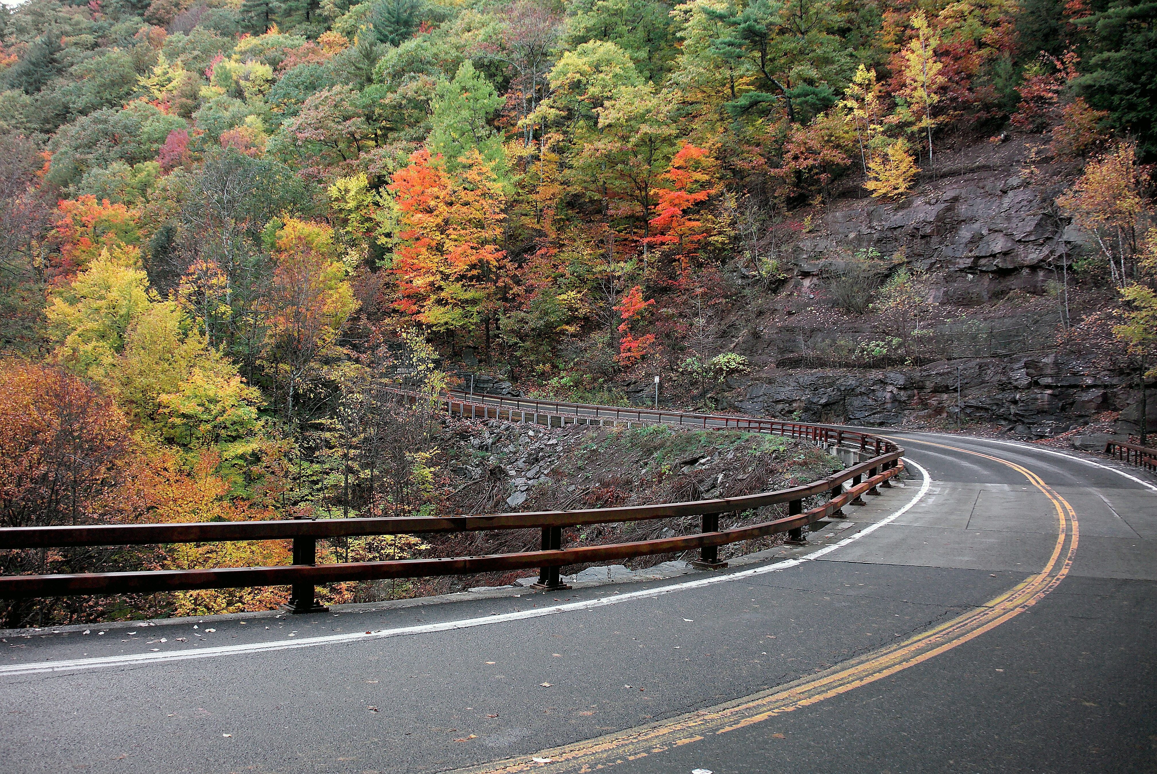 Autumn Curve: A Quiet Road Wrapped in Colors