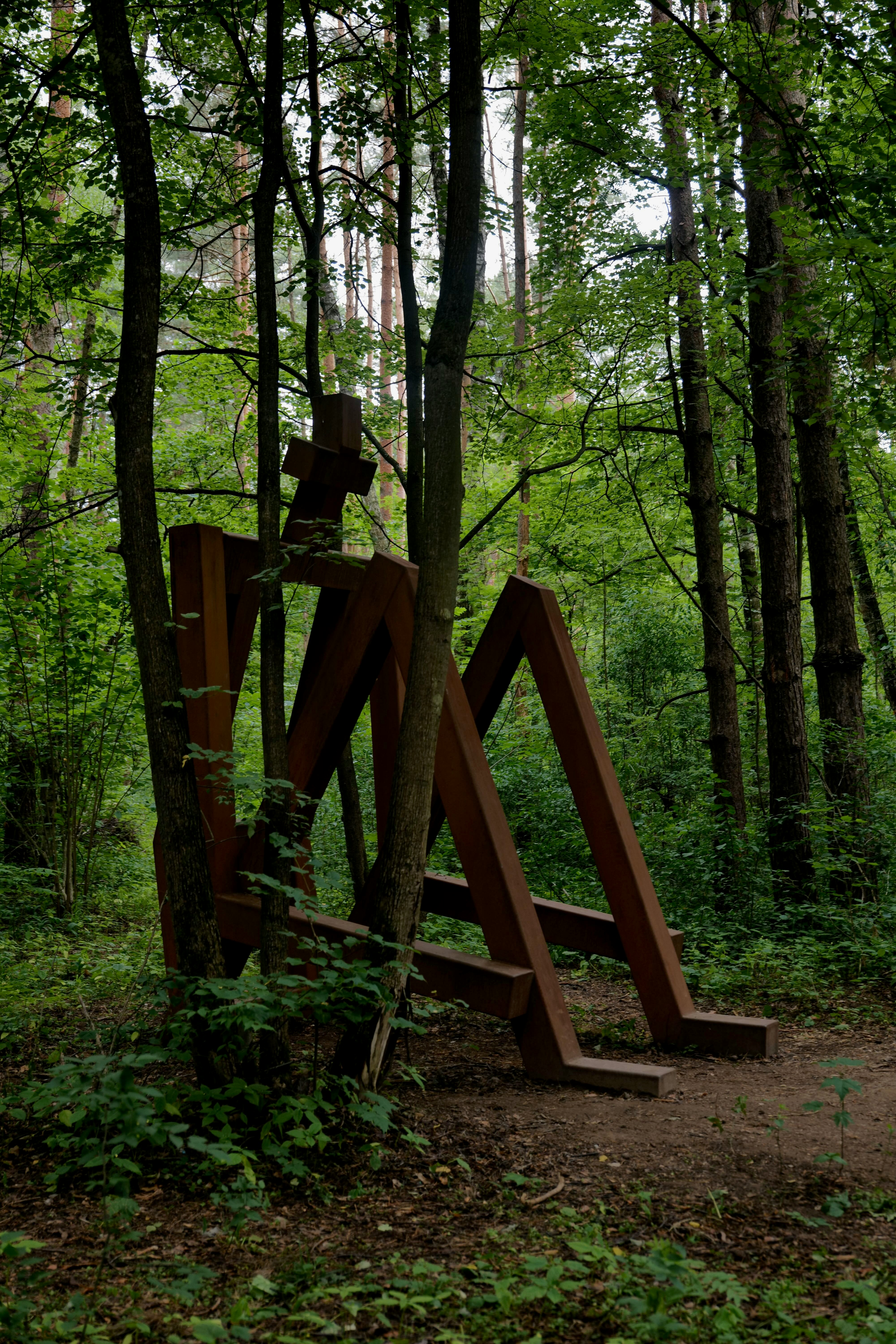 Rusted Geometry in the Green: a forest sculpture nestled among slender pines
