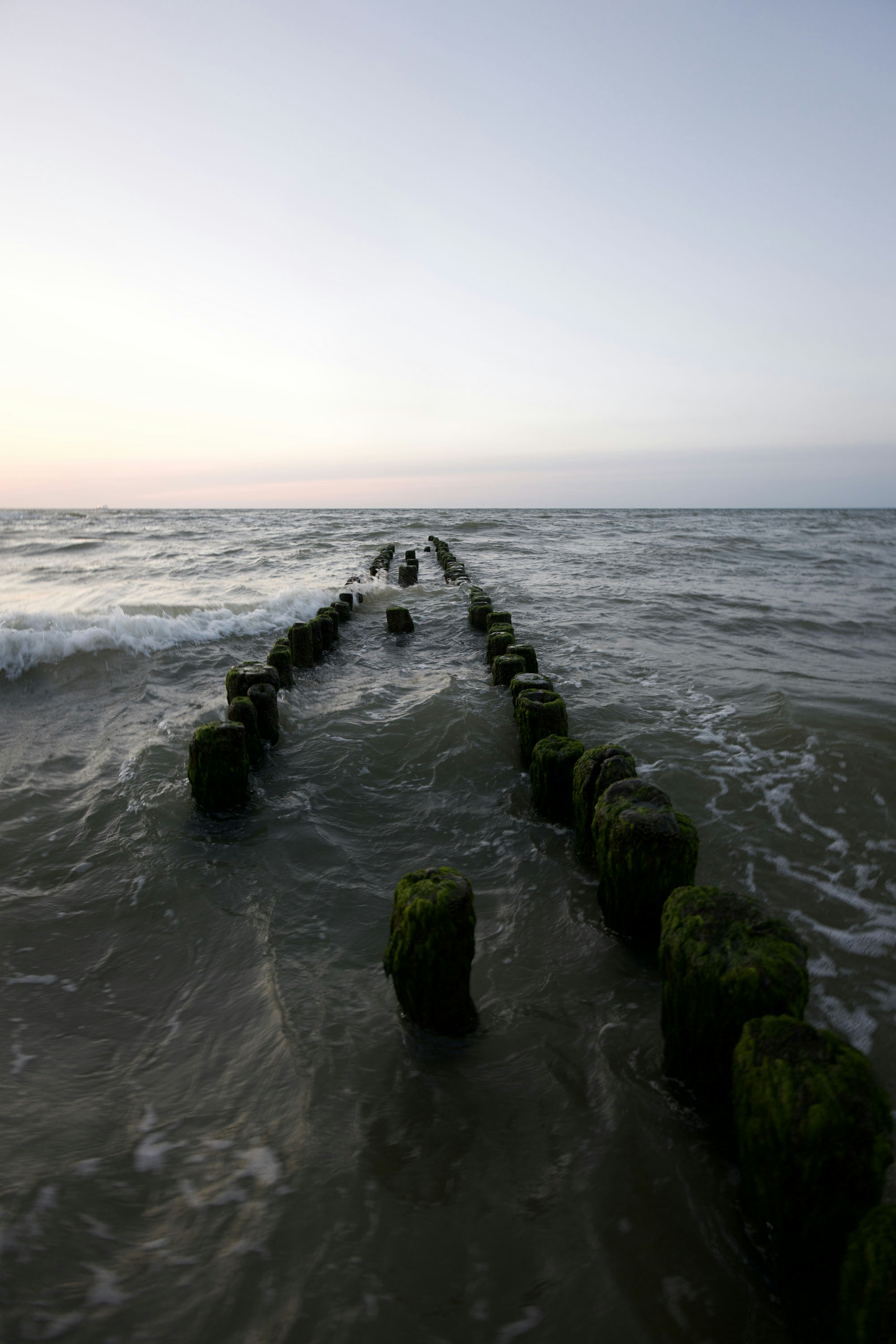 Moss-Covered Pilings Extend Toward a Quiet Horizon