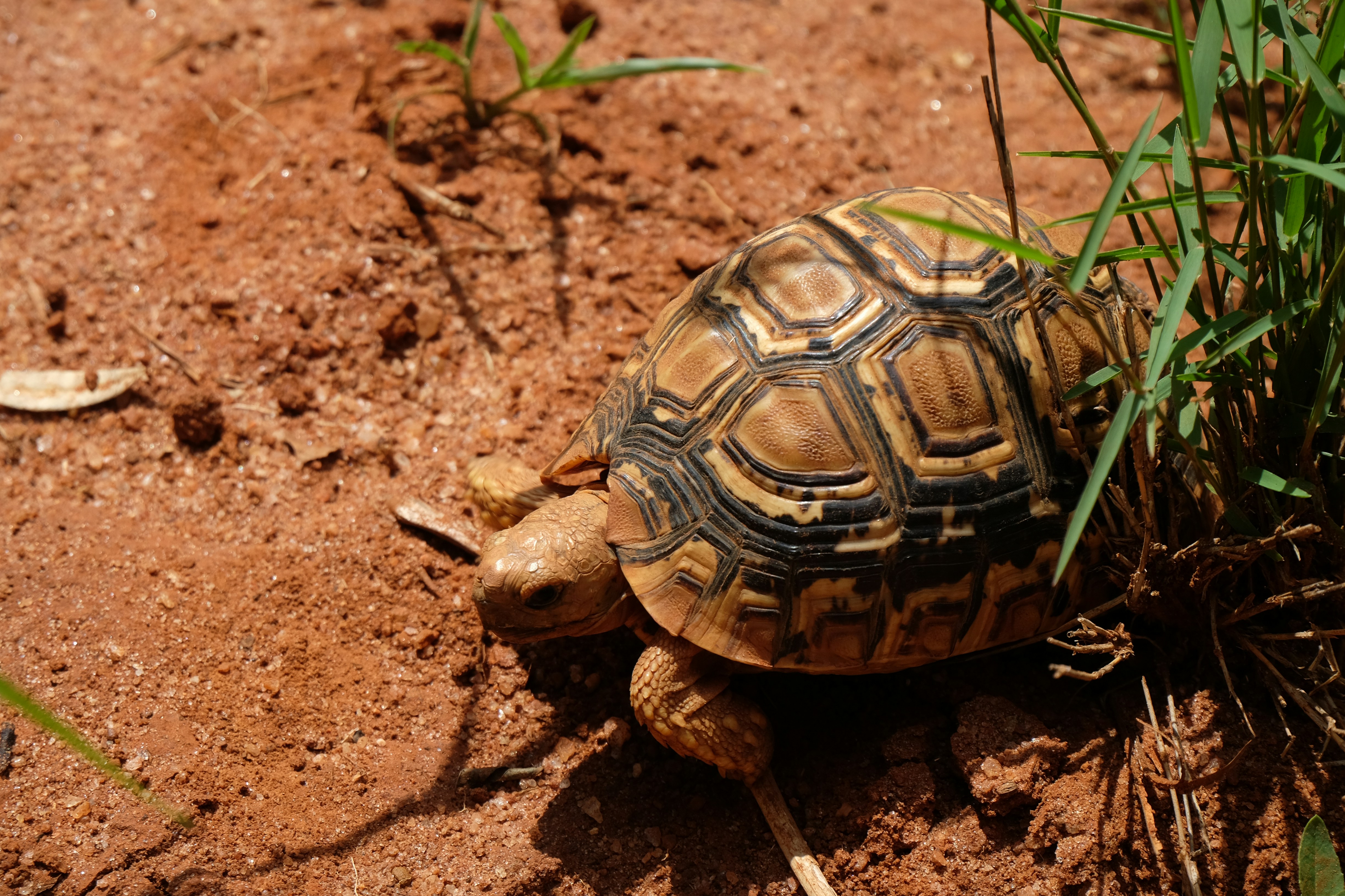 Photo by JP Sheard with Fujifilm X-T10