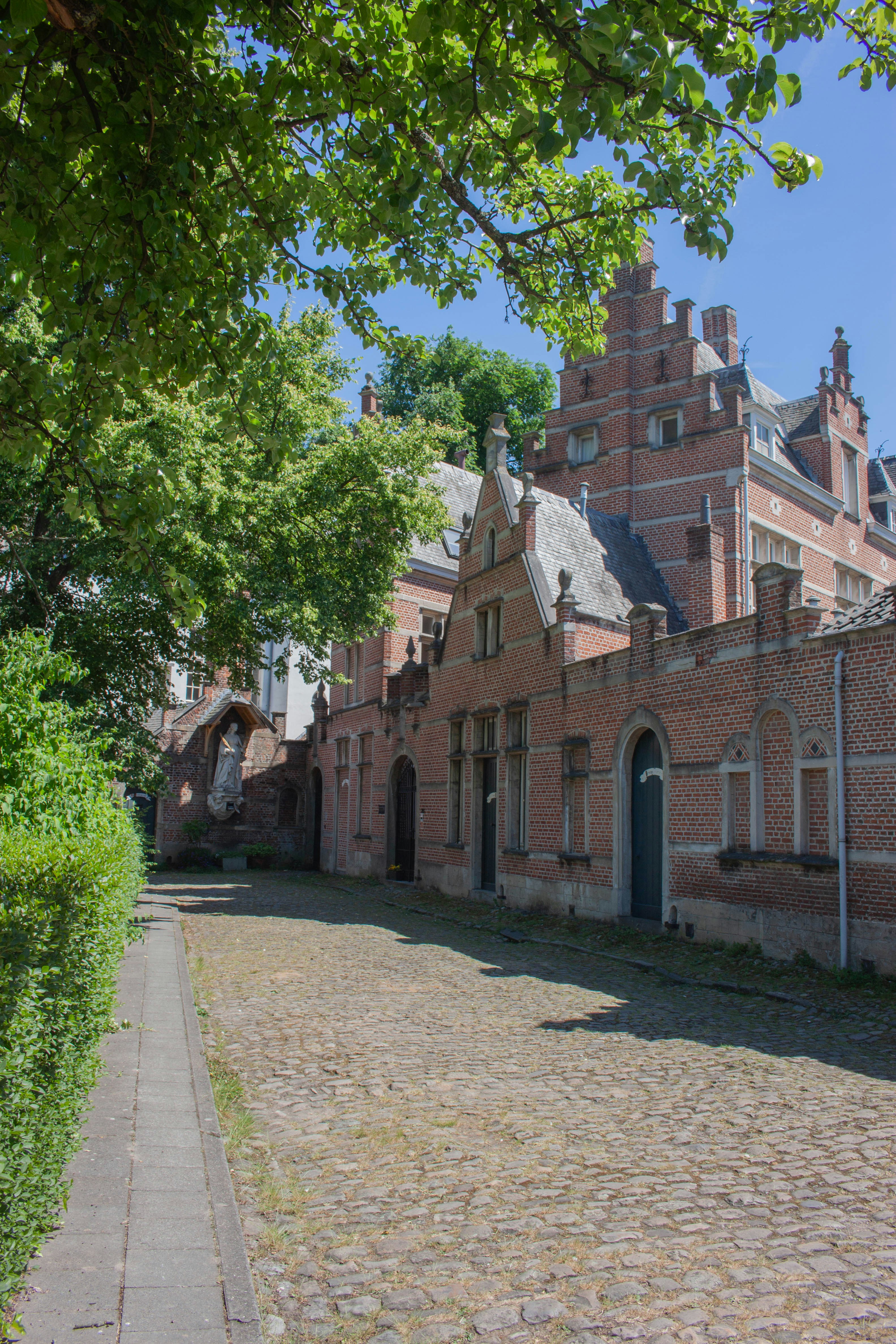 Whispers of History: A Cobblestone Pathway Through Time