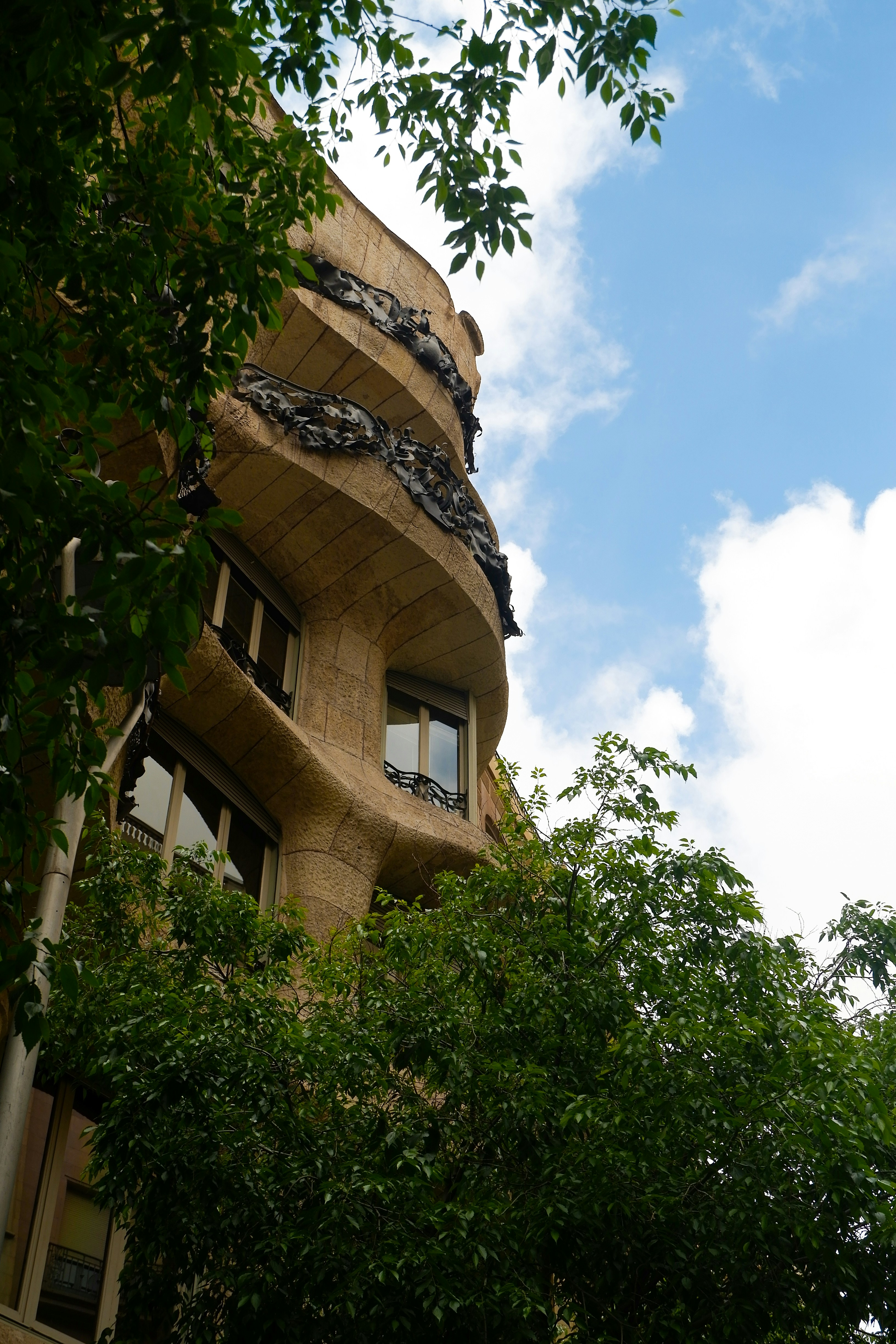 Dragon-spined Facade: Curved Stone Tower Reaching Toward the Sky