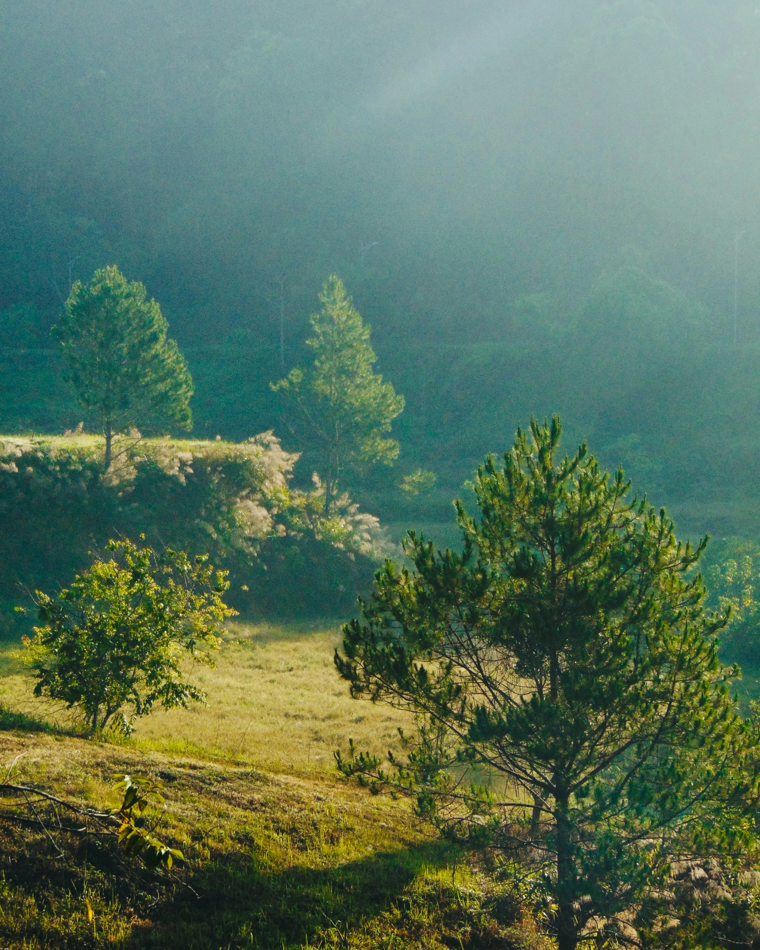 Nguyễn Đại (@enzoy) | Communauté photos Unsplash