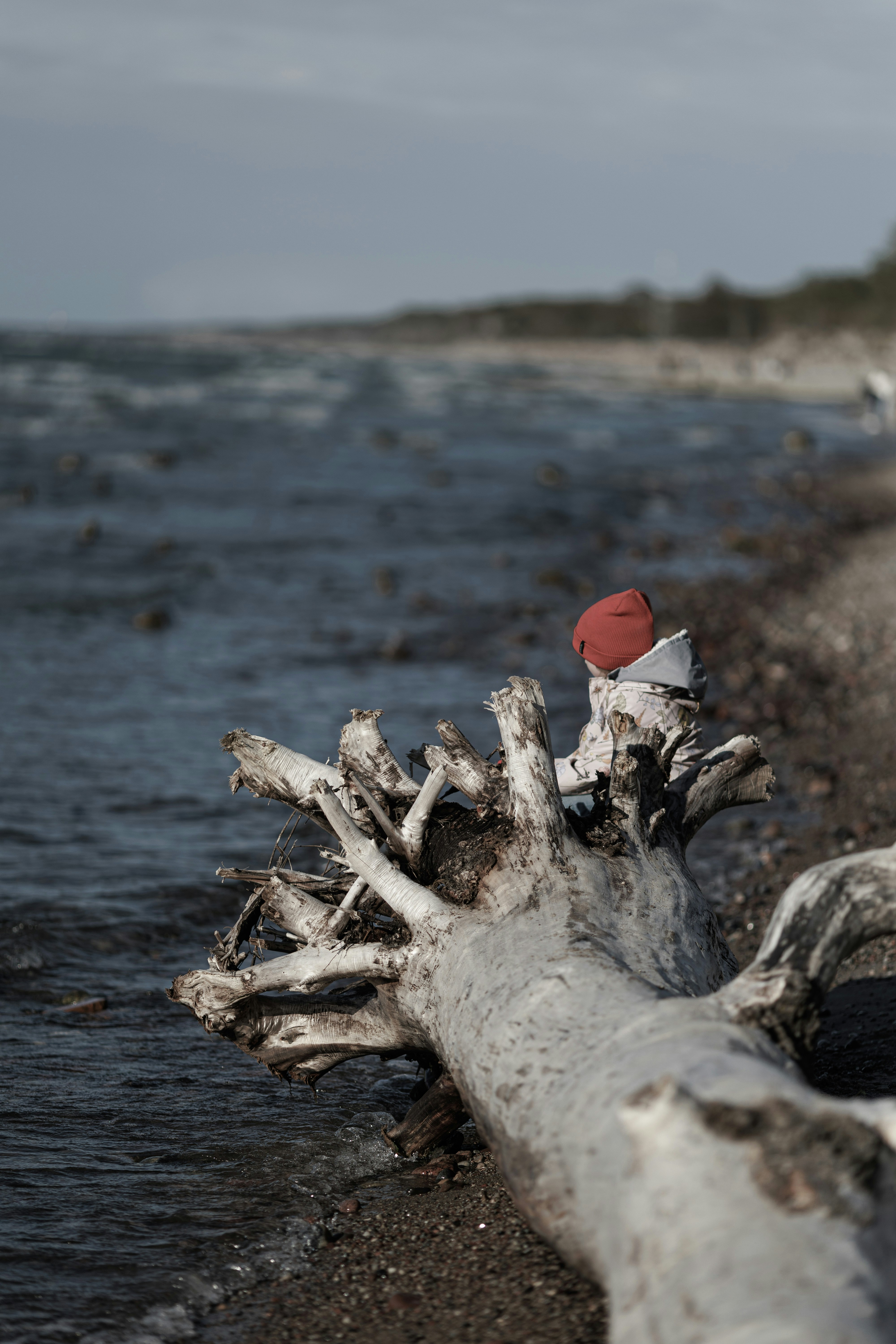 A red beanie hat rests playfully on a piece of pale driftwood at the Baltic Sea shoreline, with calm rippled water behind. Whimsical coastal moment in the Kaliningrad region.