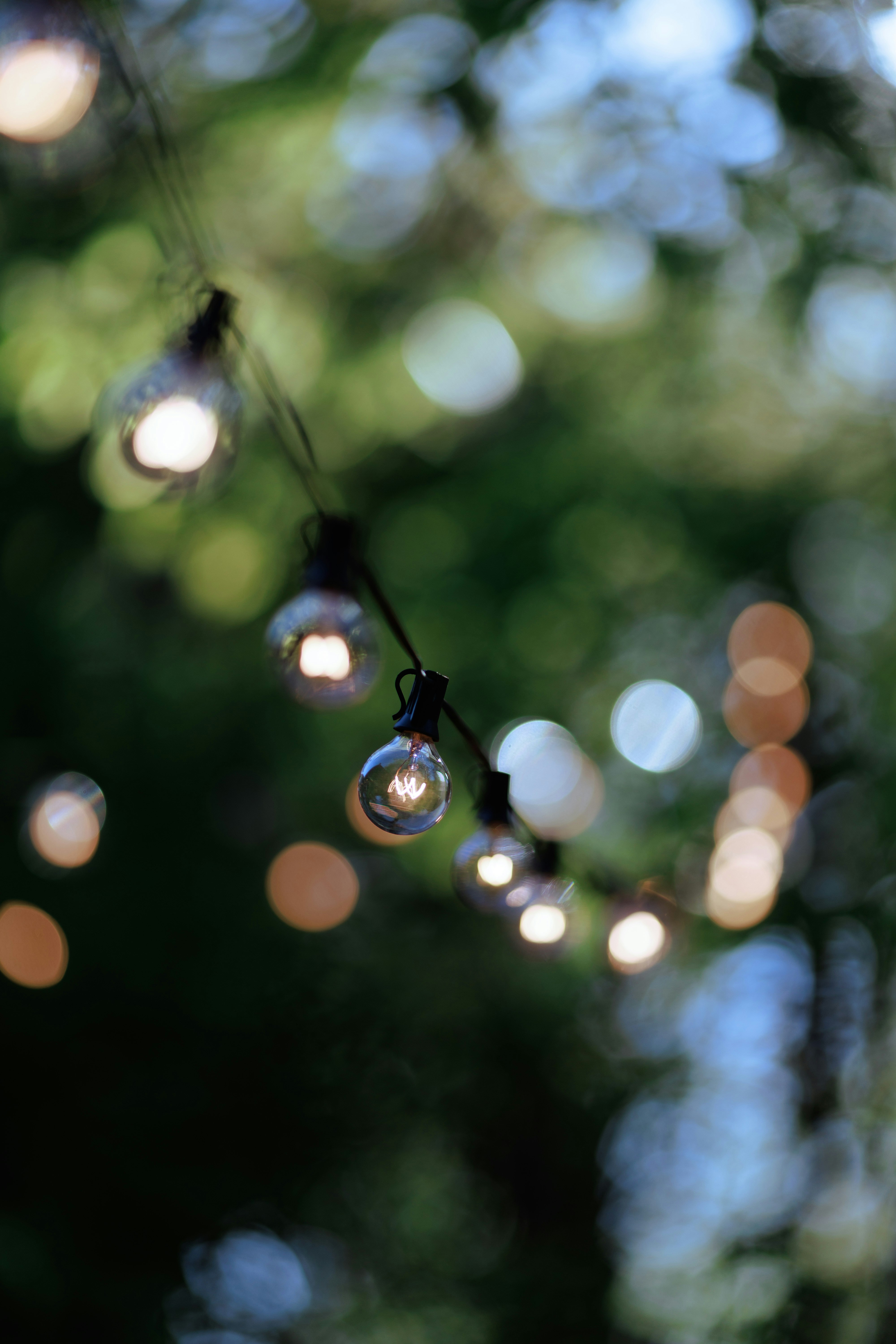String lights glow, creating a beautiful, soft bokeh. photo – Free ...