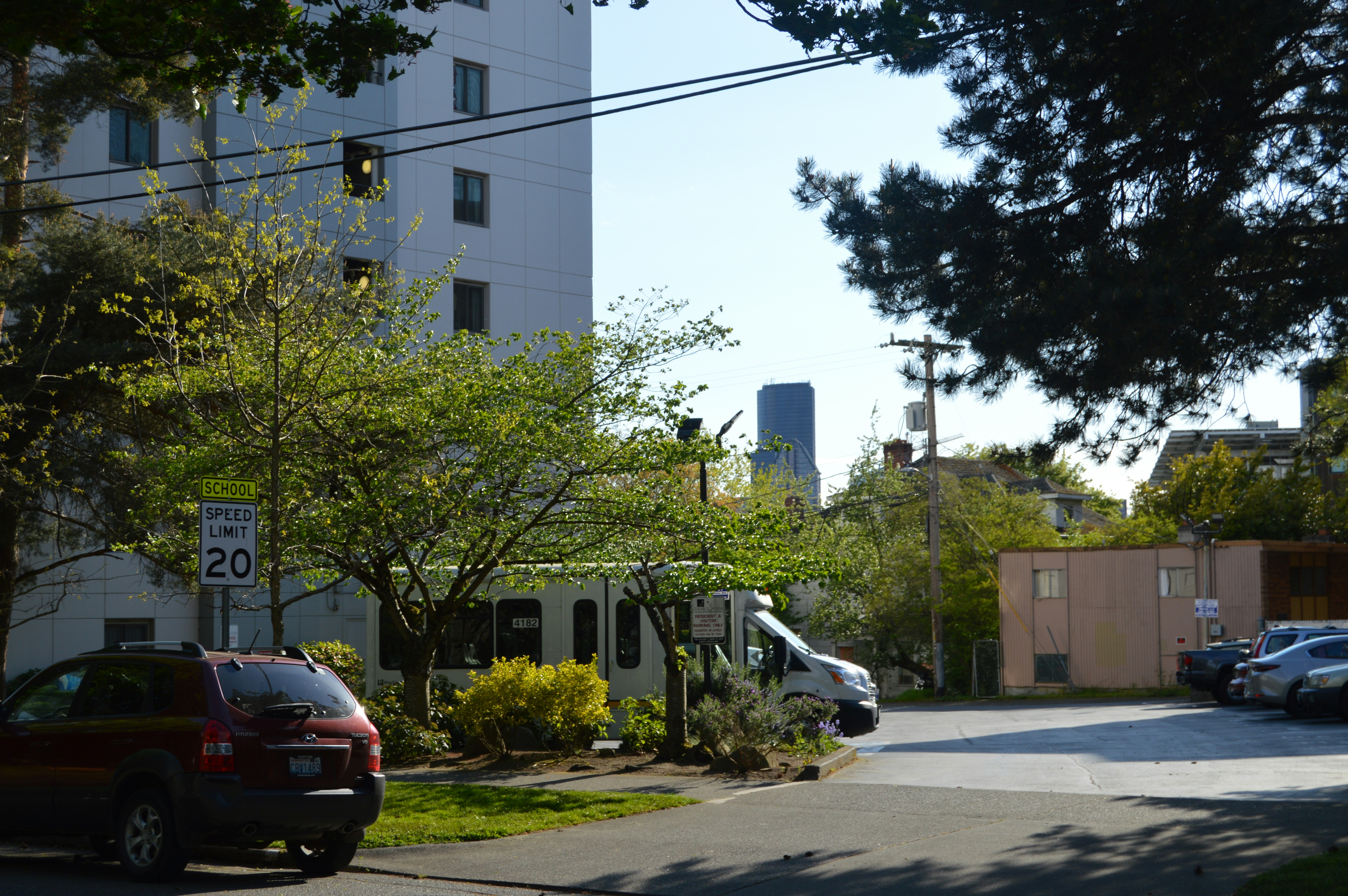 Urban Street Corner with Tree-Shaded Parking and Modern Building