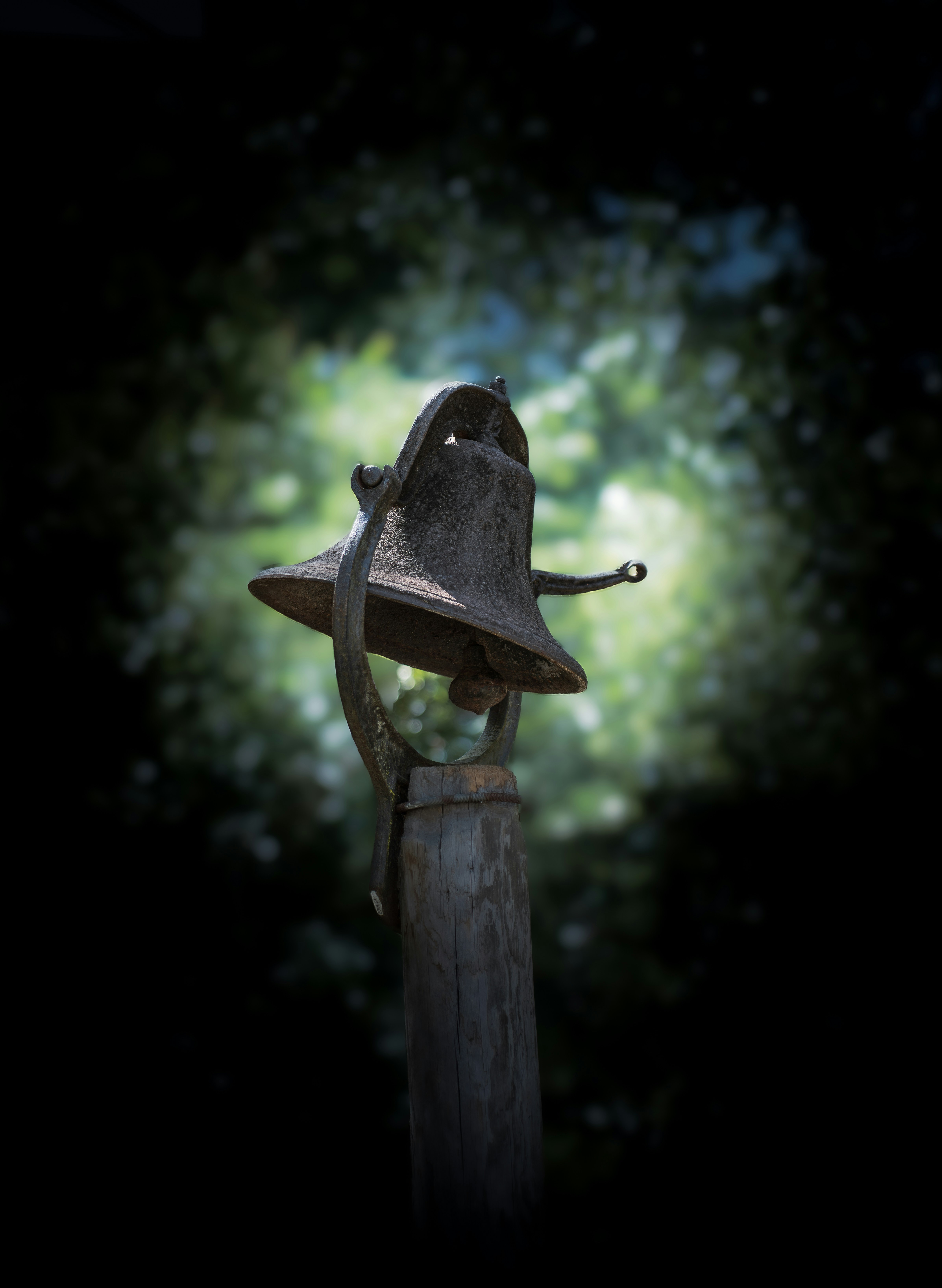 Rusted Bell on a Weathered Post Beneath a Veil of Green Blur