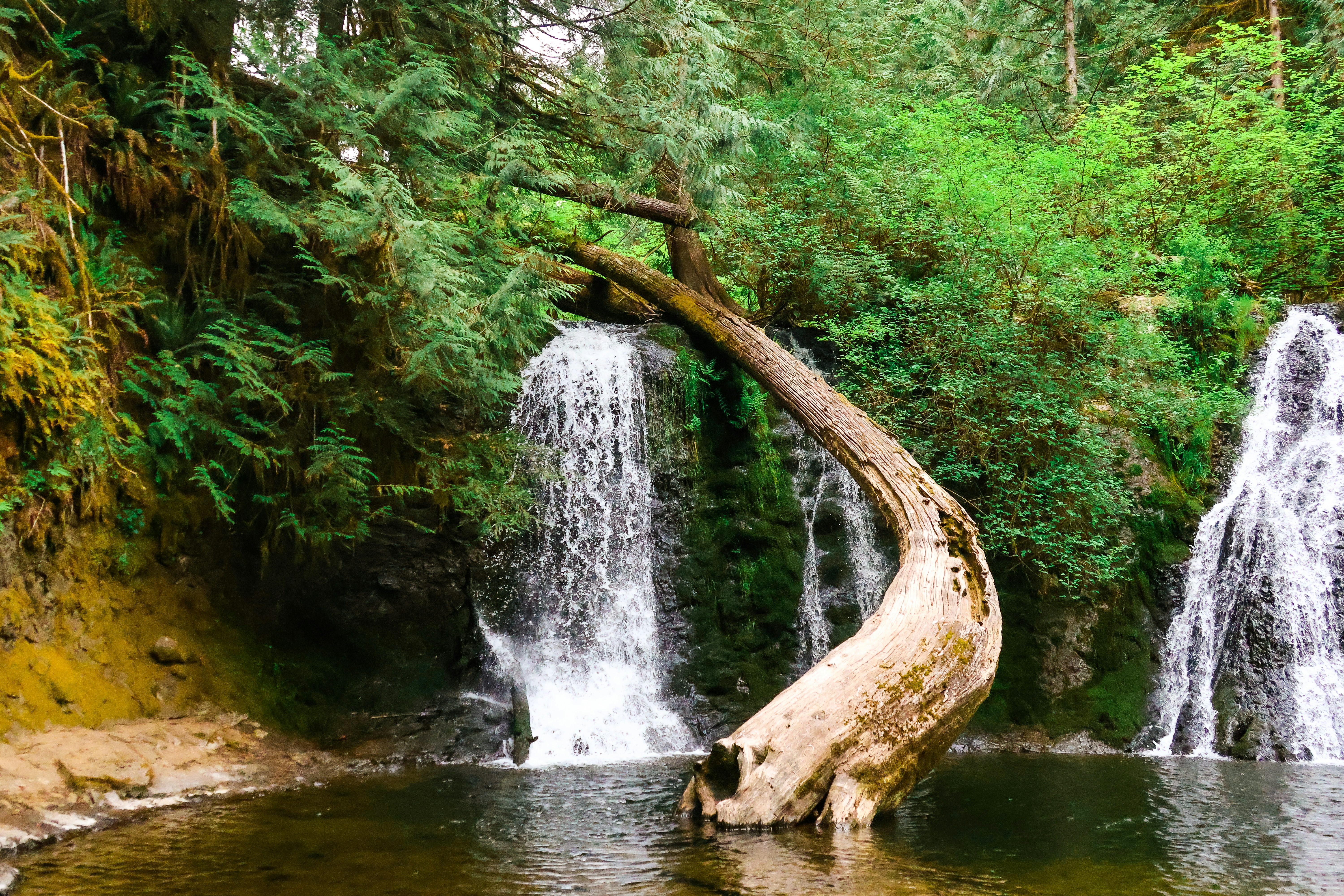 A scenic waterfall flows in the lush forest. photo – Free Waterfall ...
