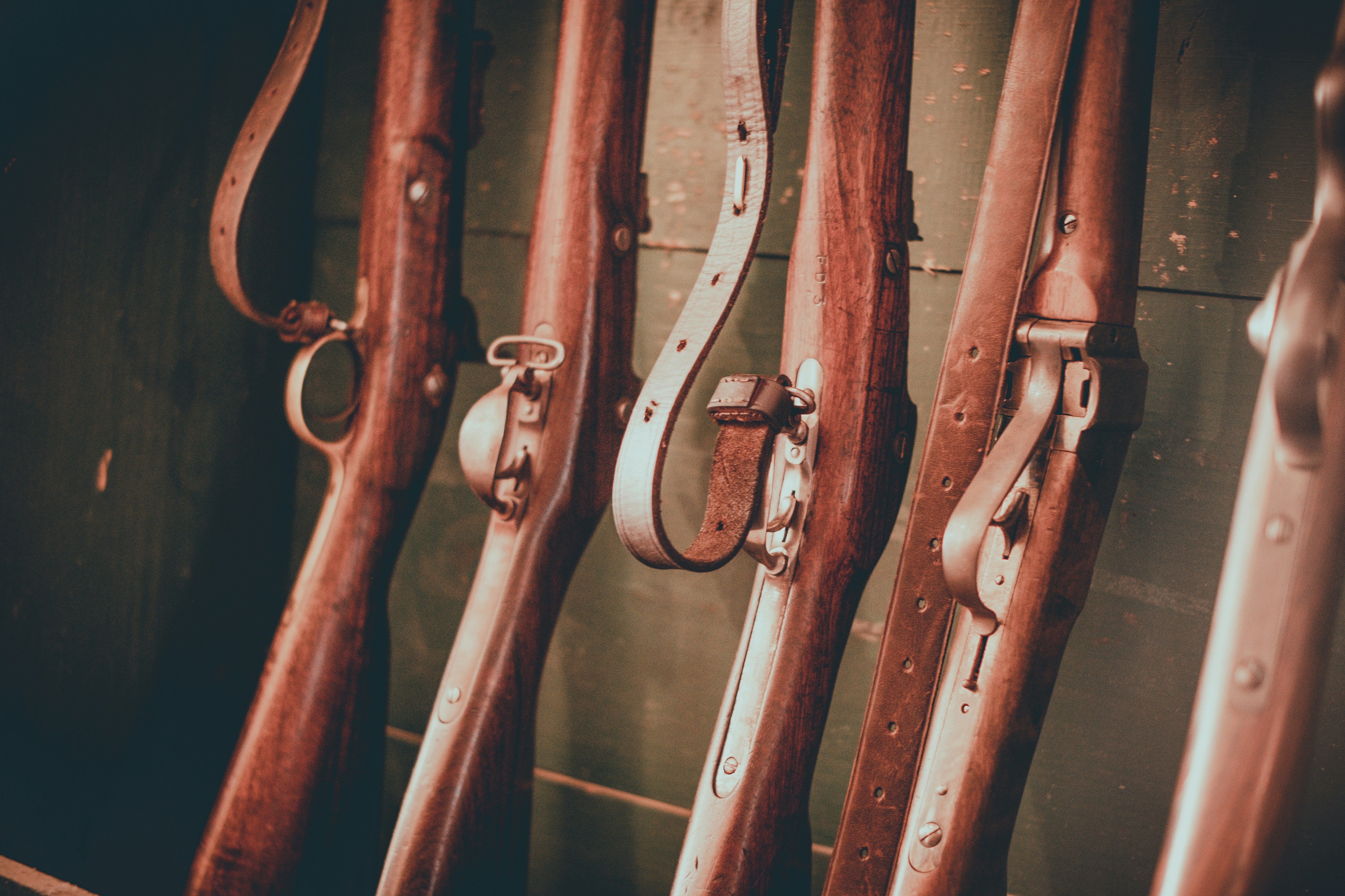 Row of leather horse bits and metal buckles hang along a wooden wall in warm light. The repeated hardware and diagonal alignment emphasize texture and geometric rhythm.
