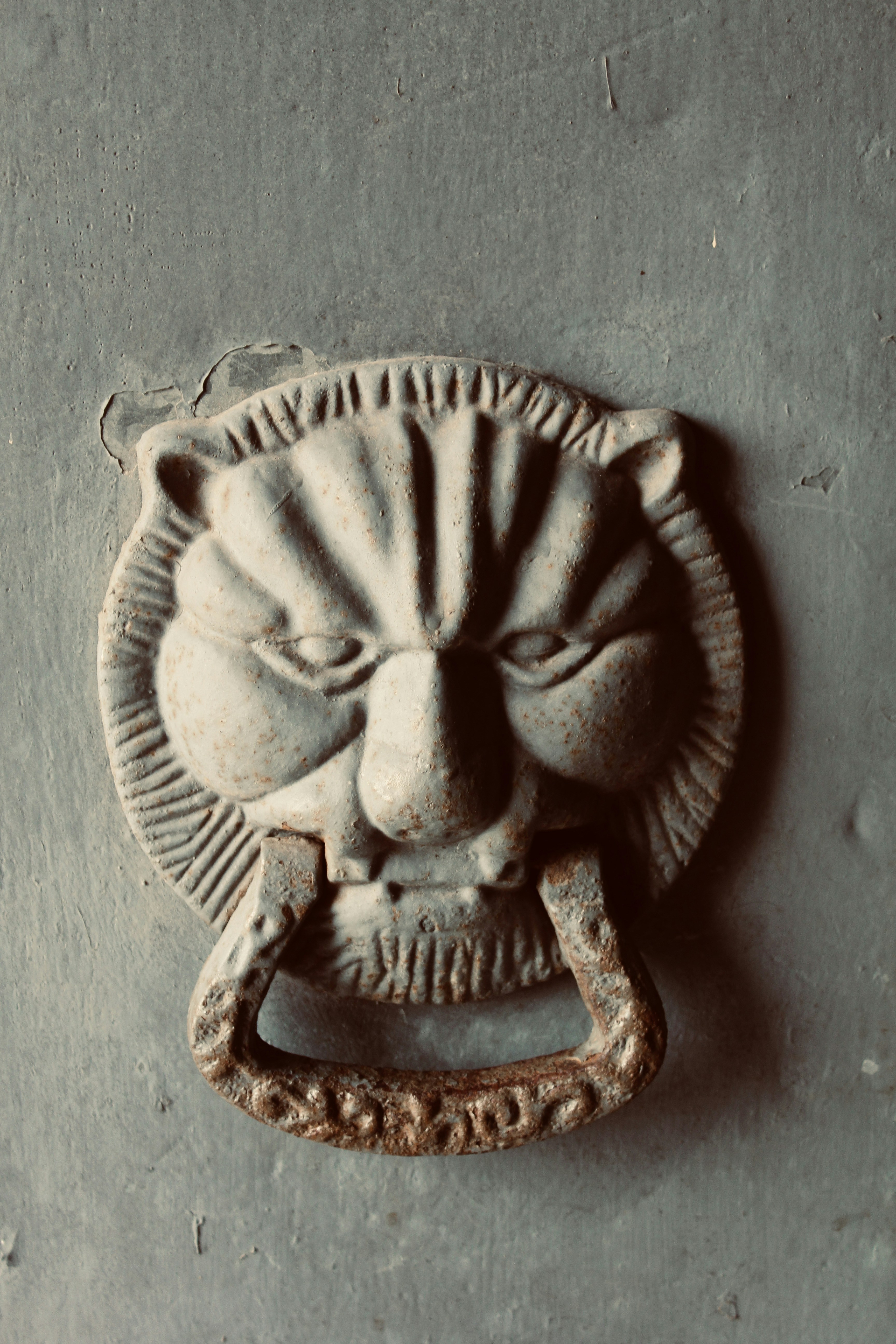 Guardian of the Door: A Lion's Emblem